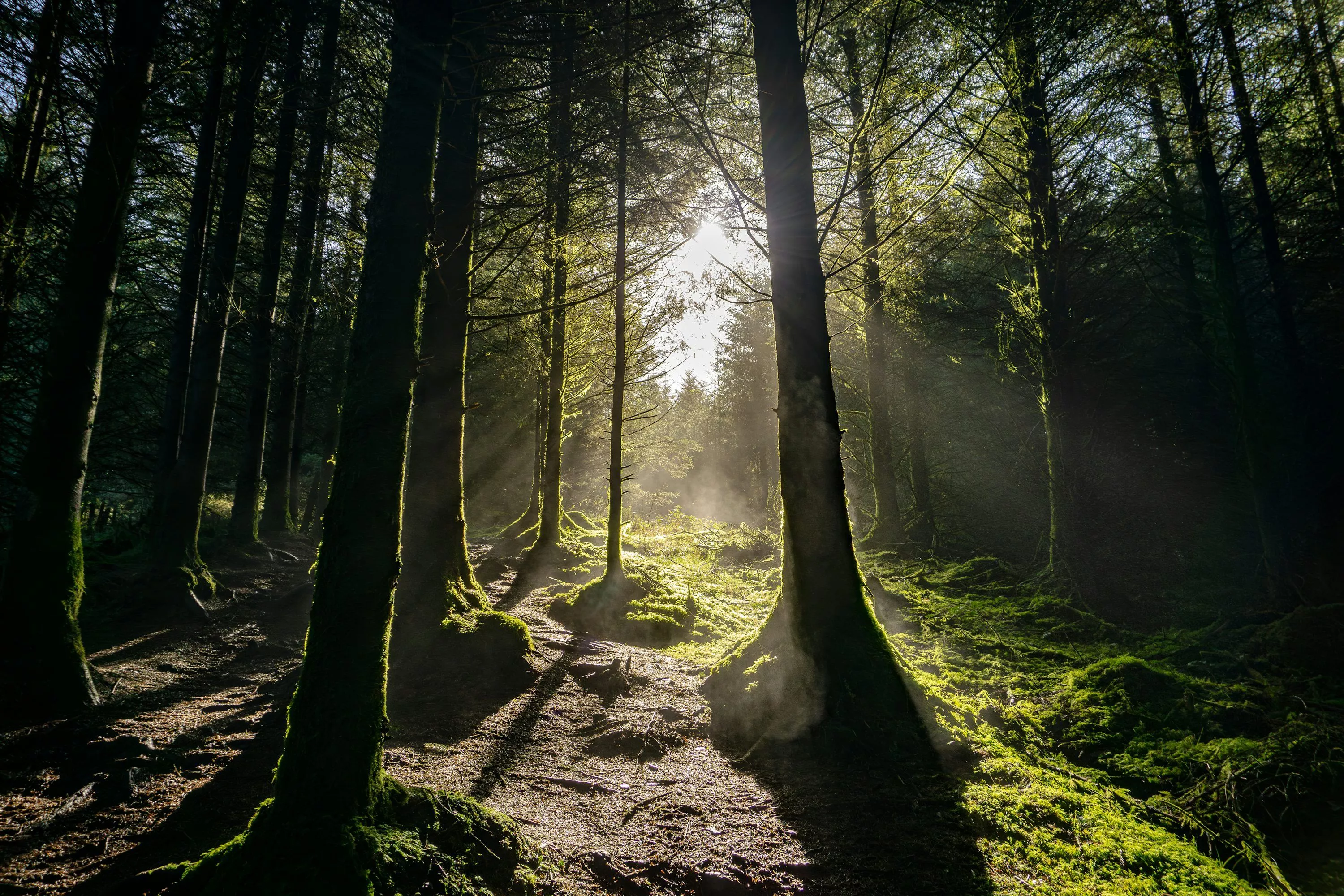 Cinematic Nature Wallpapers - Wallpaper Cave