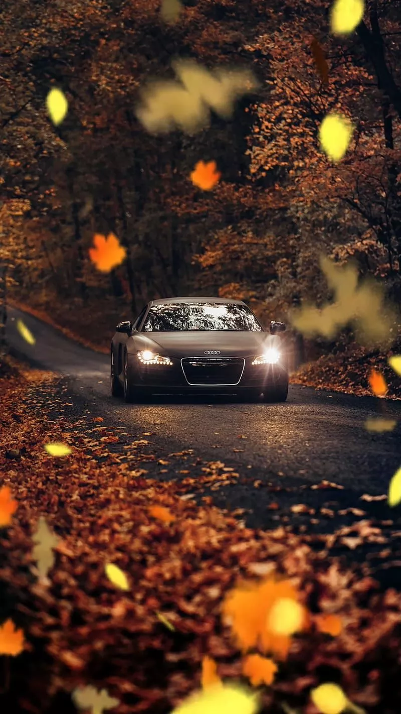 Autumn Forest Car Wallpapers - Wallpaper Cave