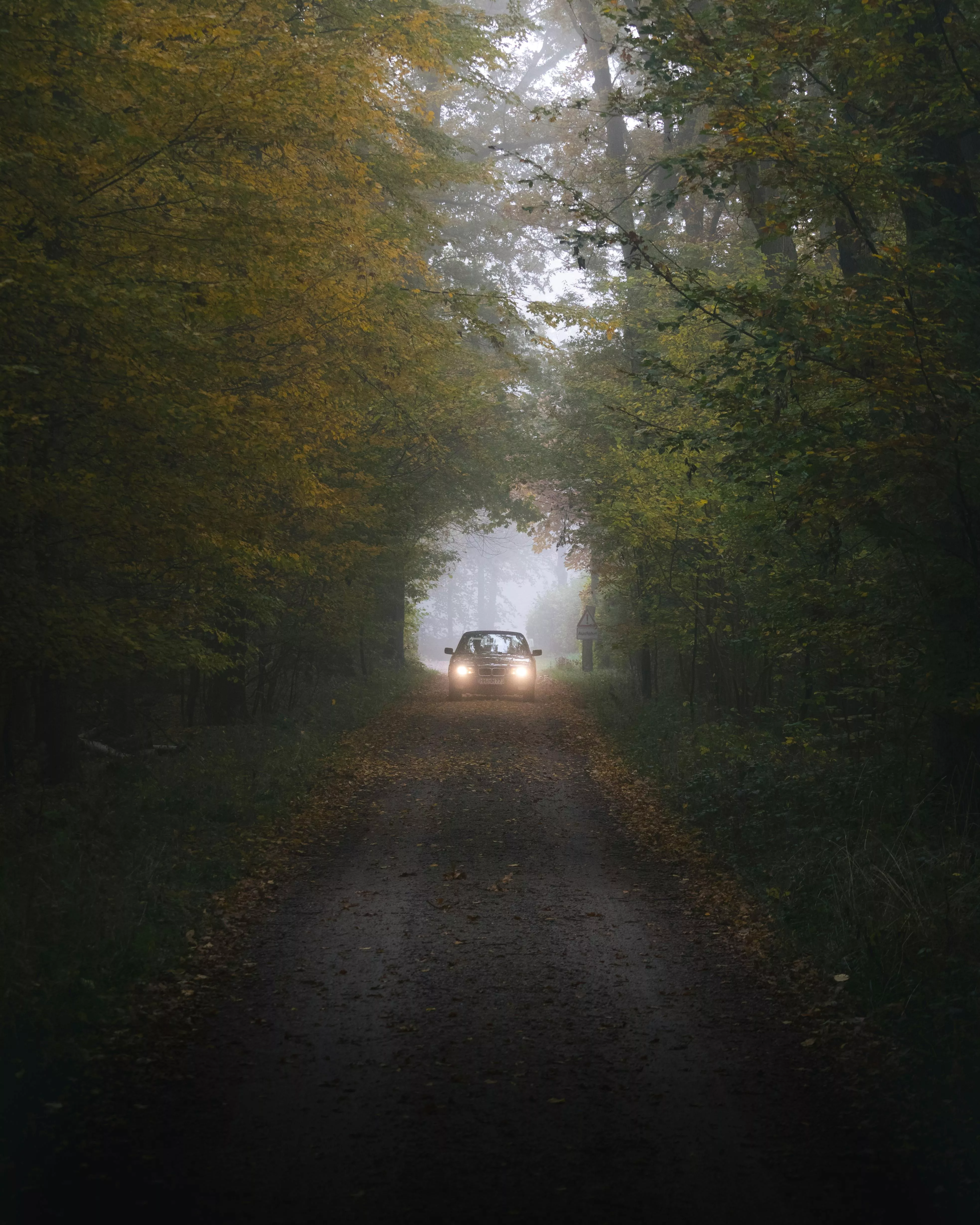 Autumn Forest Car Wallpapers - Wallpaper Cave