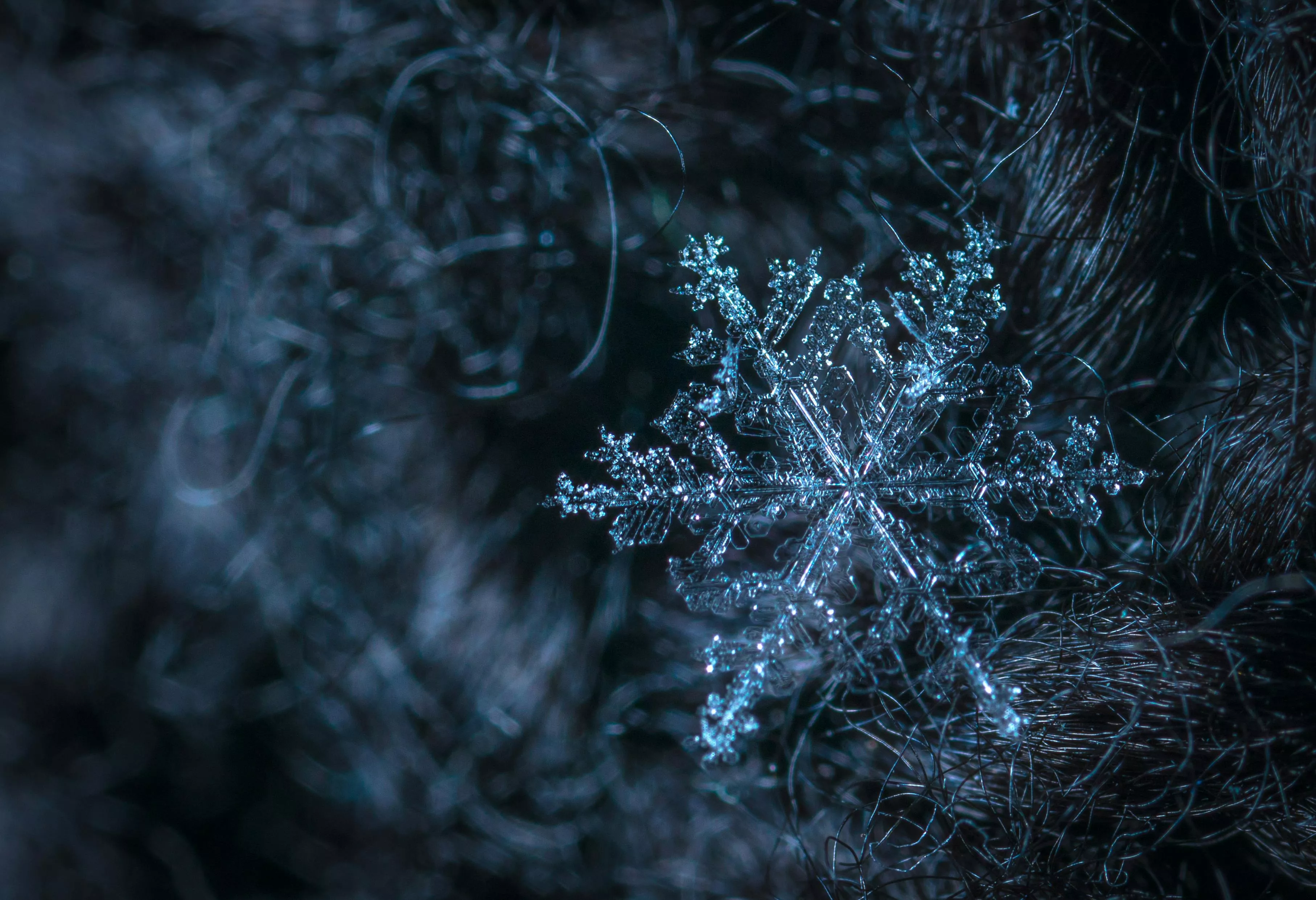 Snowflake 4k Wallpapers - Wallpaper Cave