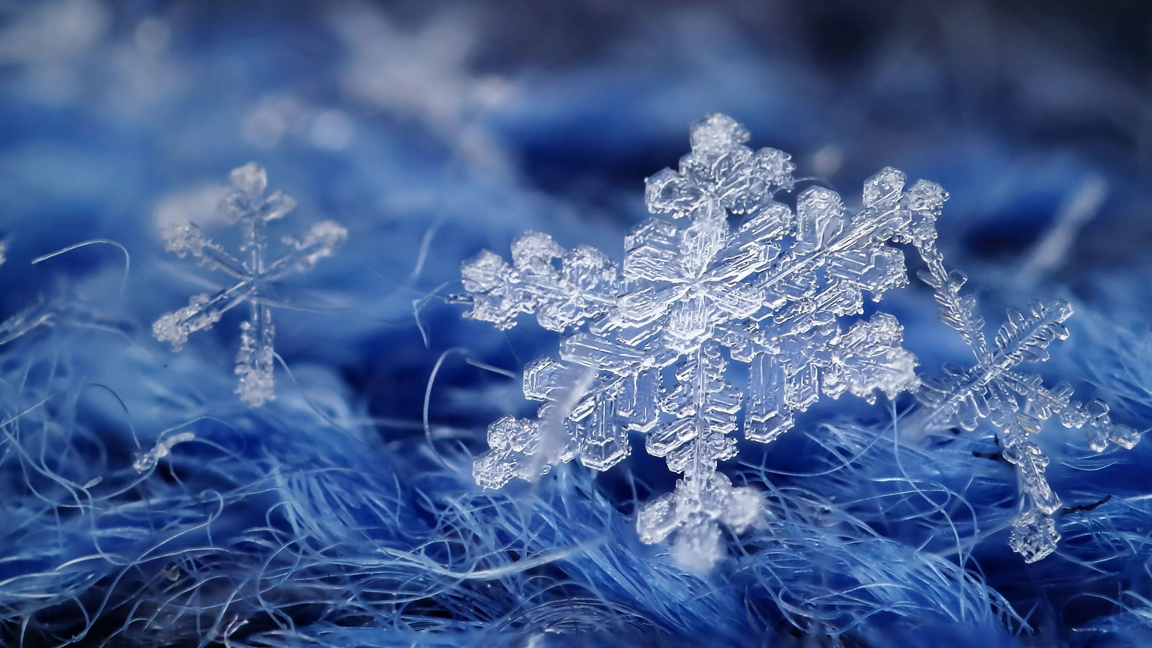 Snowflake 4k Wallpapers - Wallpaper Cave
