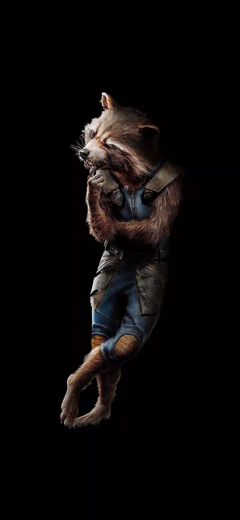 Rocket Raccoon 4k Phone Wallpapers - Wallpaper Cave