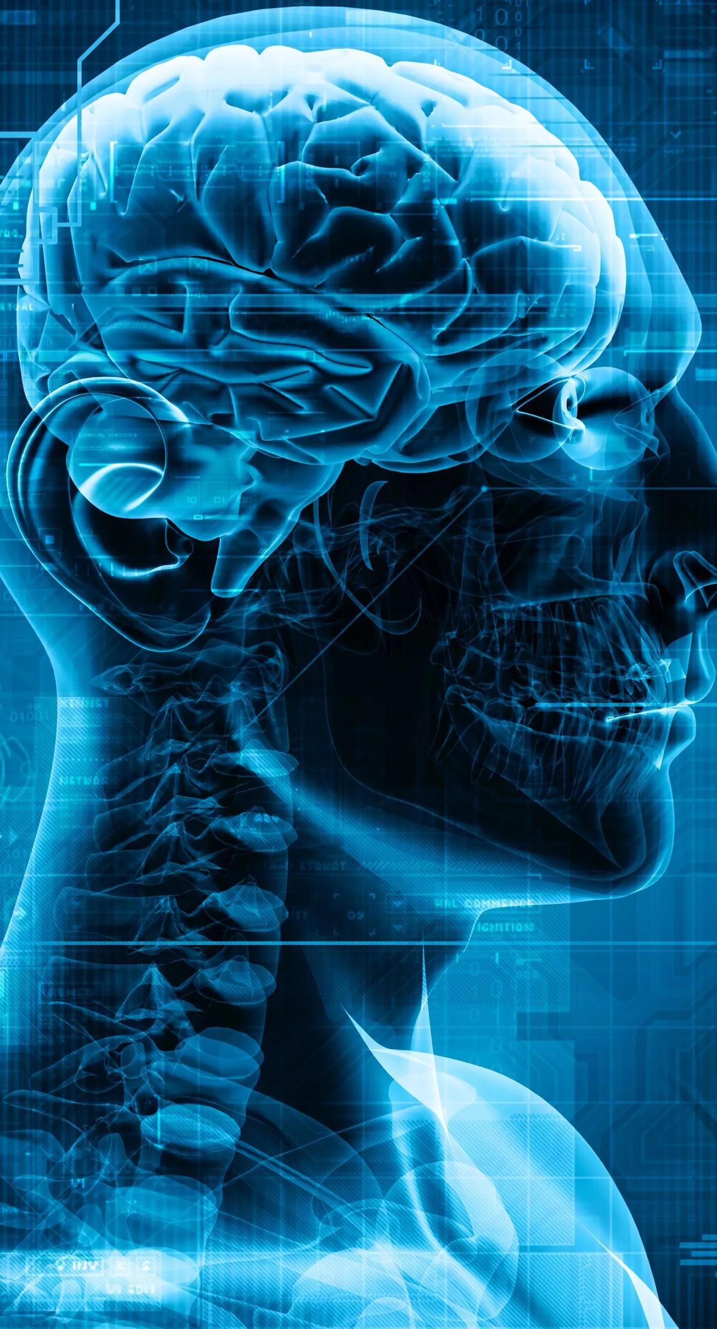 X-ray iPhone Wallpapers - Wallpaper Cave