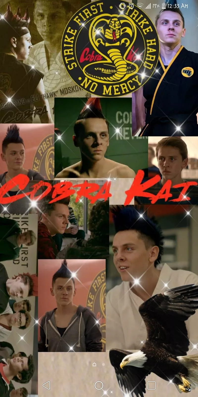 Cobra Kai Wallpapers - Wallpaper Cave