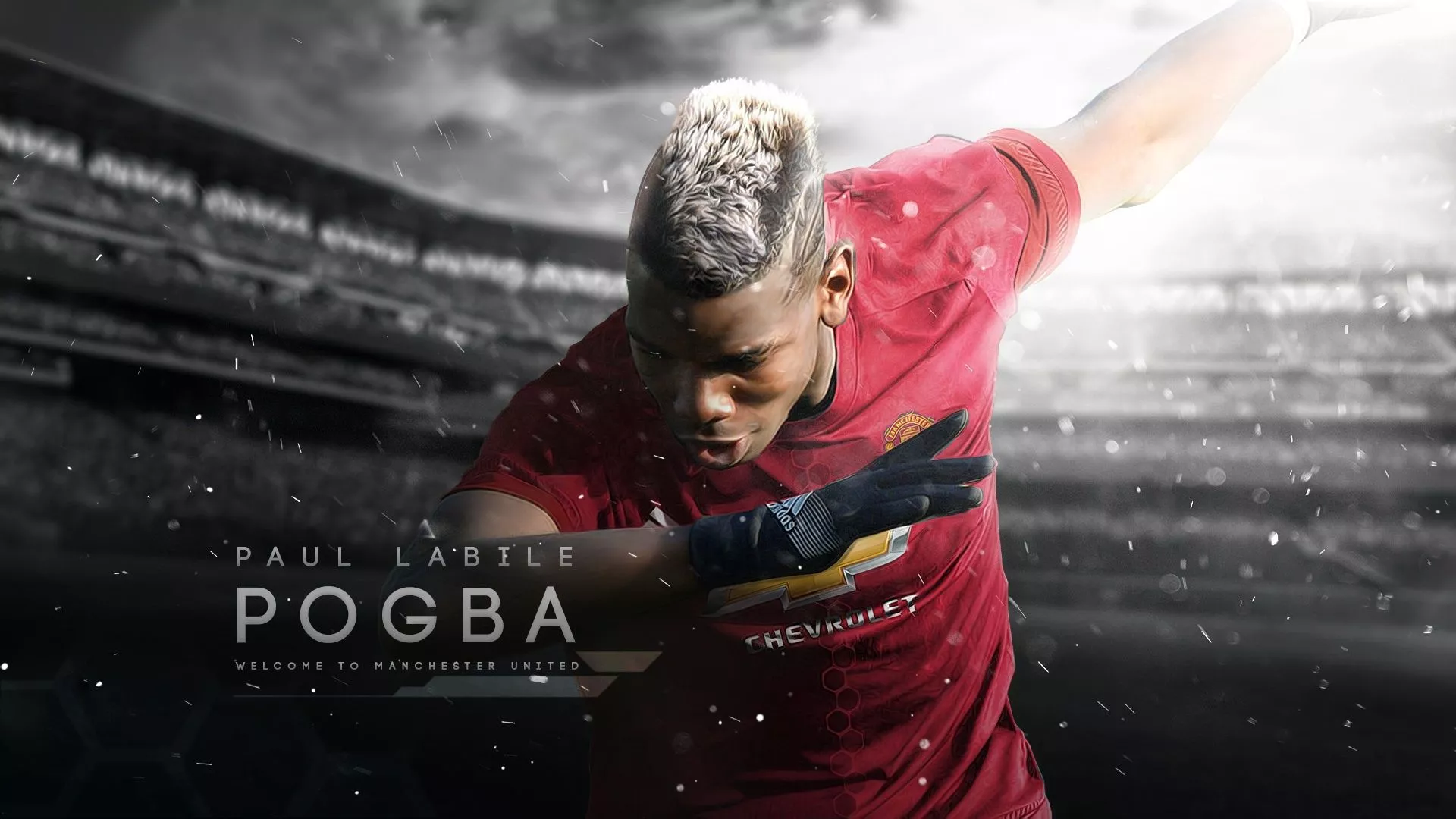 Paul Pogba Wallpapers - Wallpaper Cave
