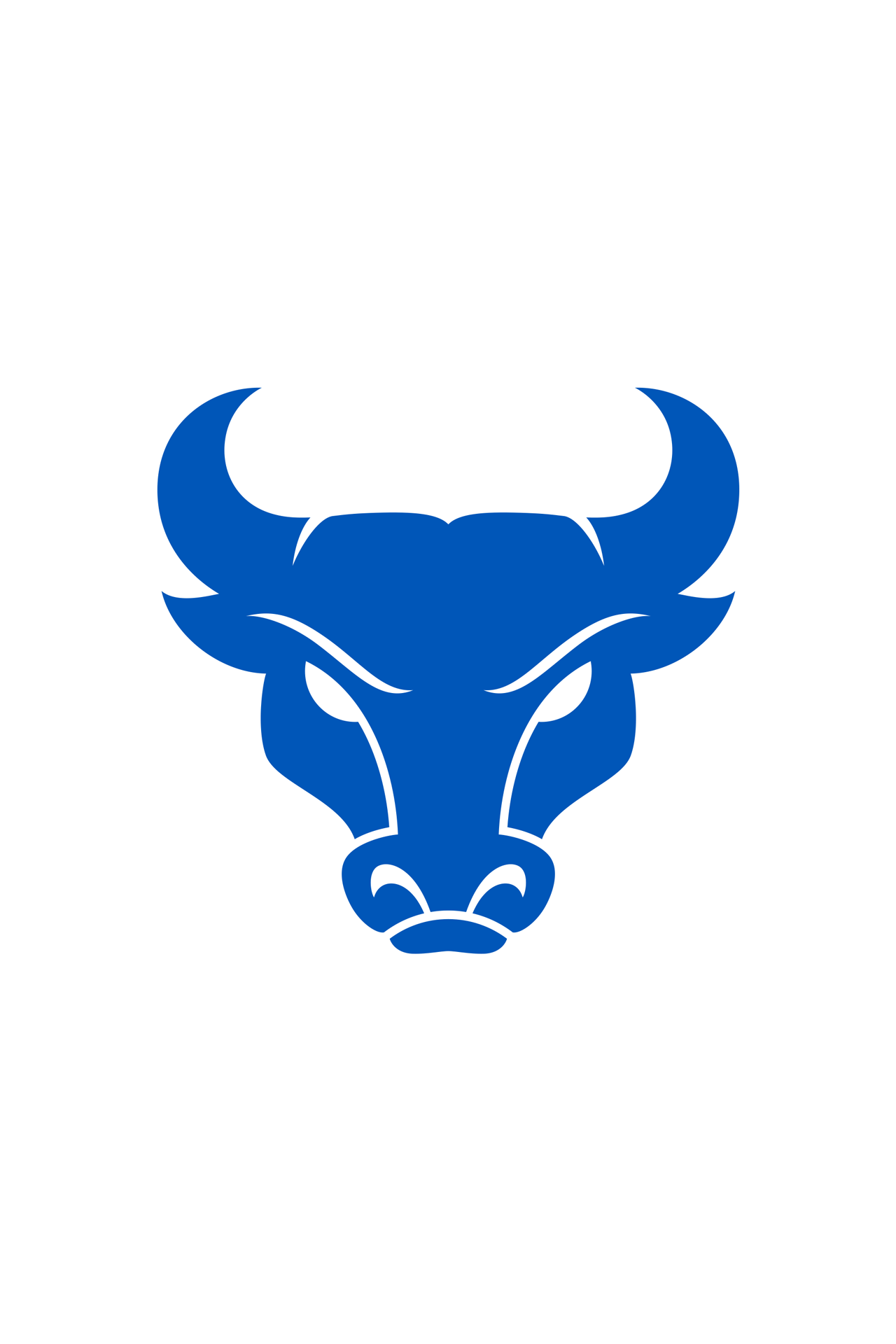 Ub Bulls Logo