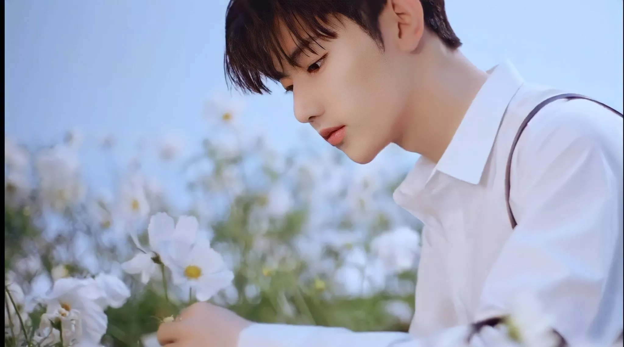 Zhang Hao Wallpapers - Wallpaper Cave