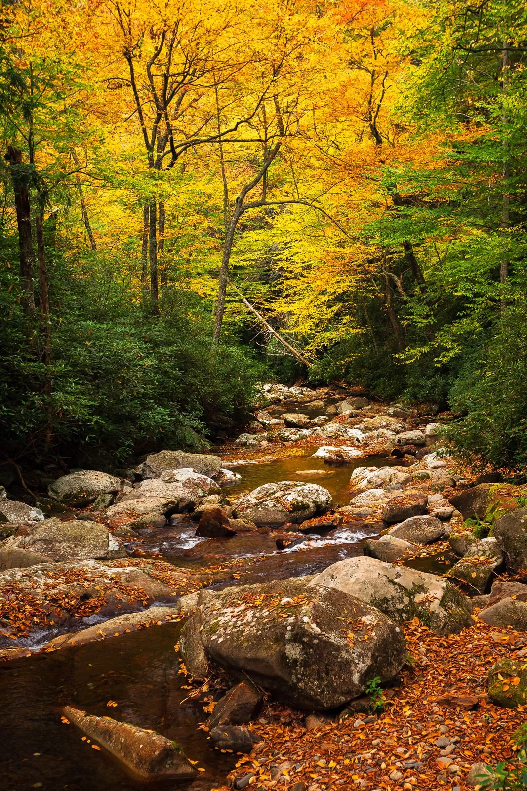 Great Smoky Mountains Autumn Wallpapers - Wallpaper Cave