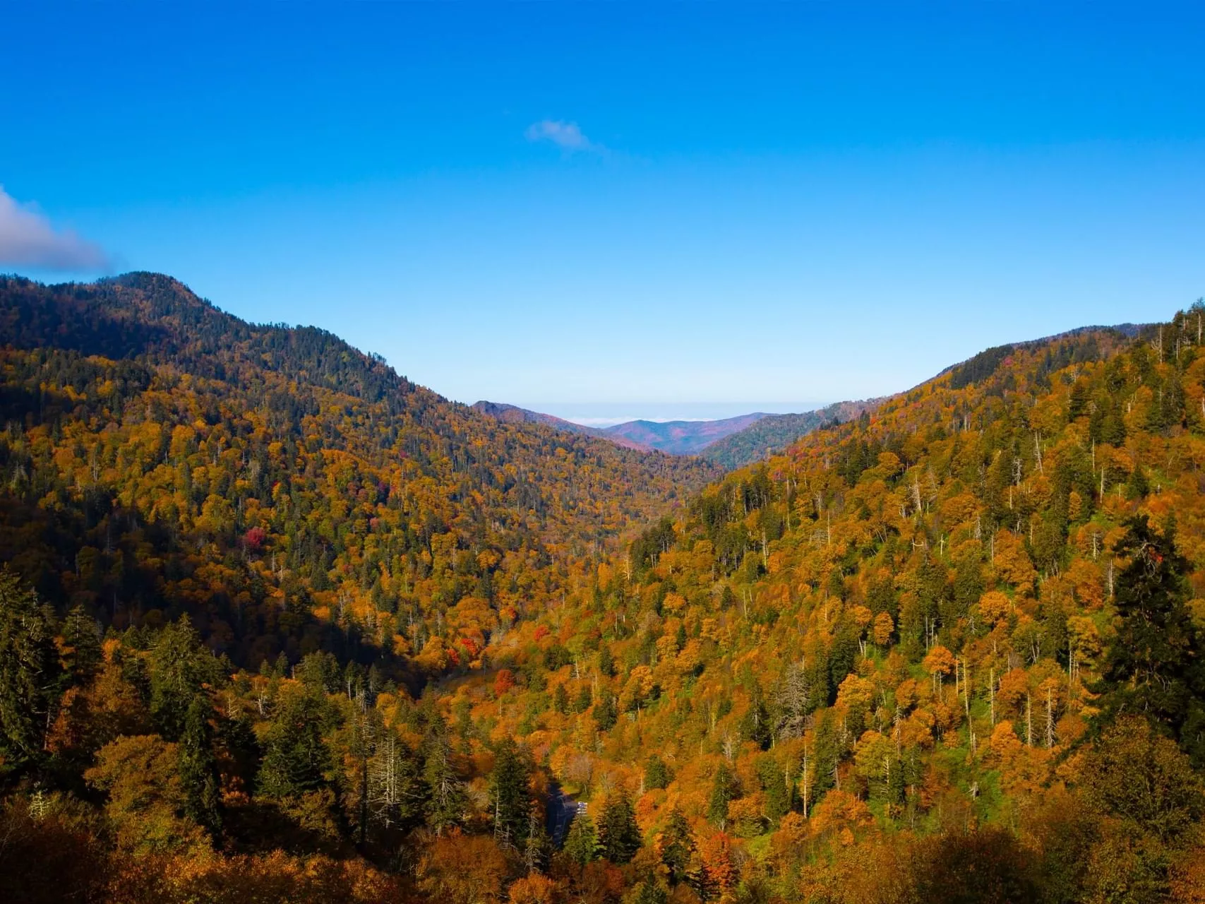 Great Smoky Mountains Autumn Wallpapers - Wallpaper Cave