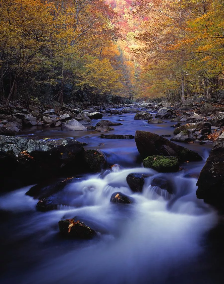 Great Smoky Mountains Autumn Wallpapers - Wallpaper Cave