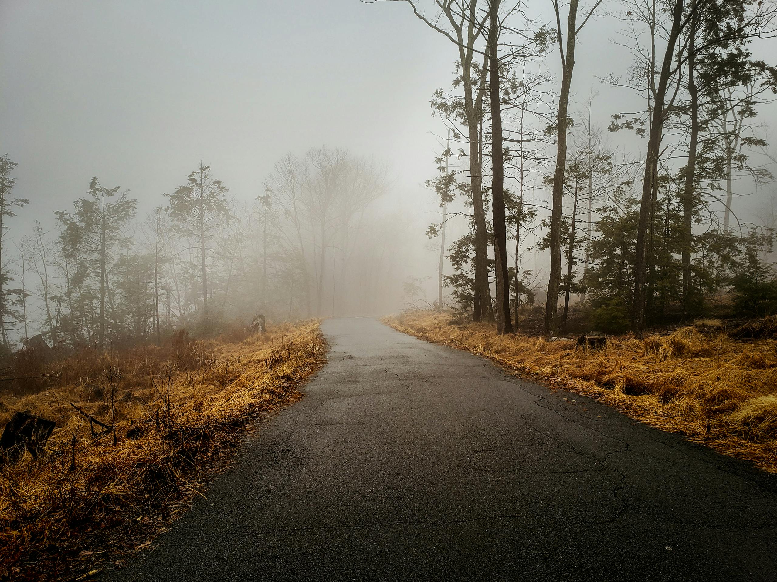 Foggy Autumn Road Wallpapers - Wallpaper Cave