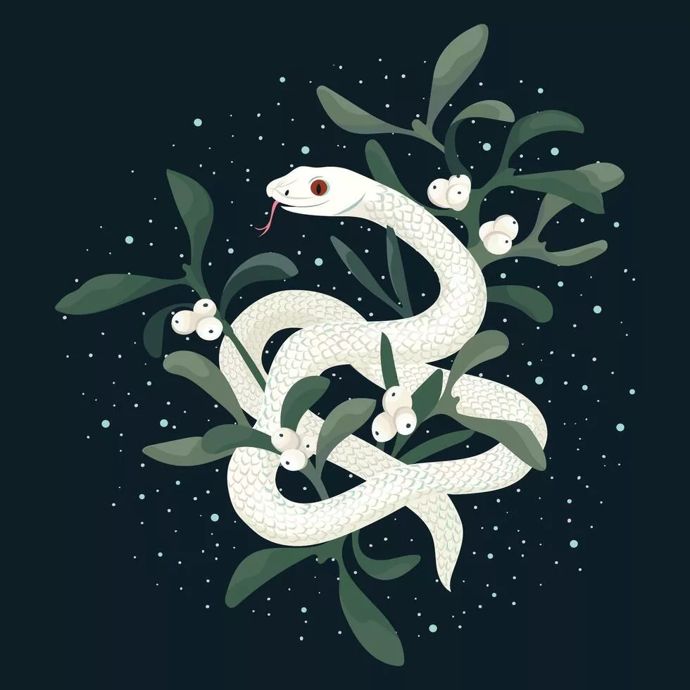 2025 Year Of The Snake Wallpapers - Wallpaper Cave