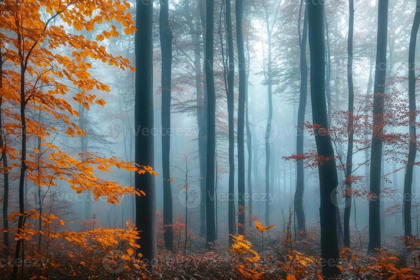 Fog Autumn Forest Wallpapers - Wallpaper Cave