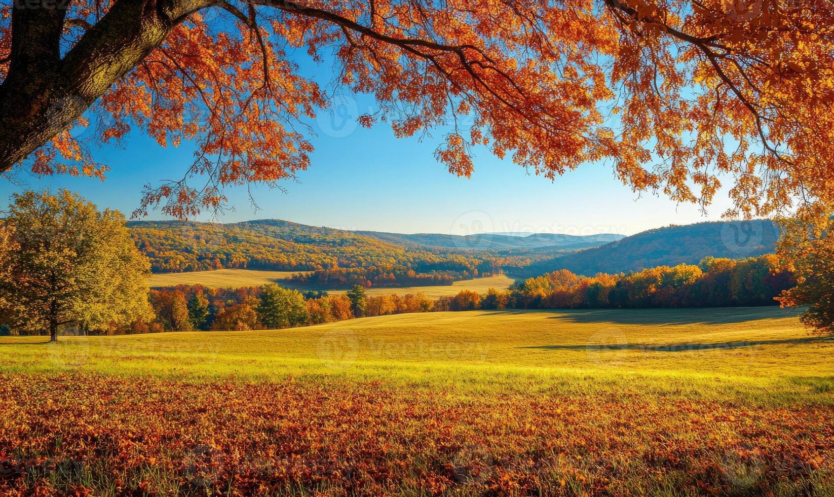 Field Autumn Wallpapers - Wallpaper Cave