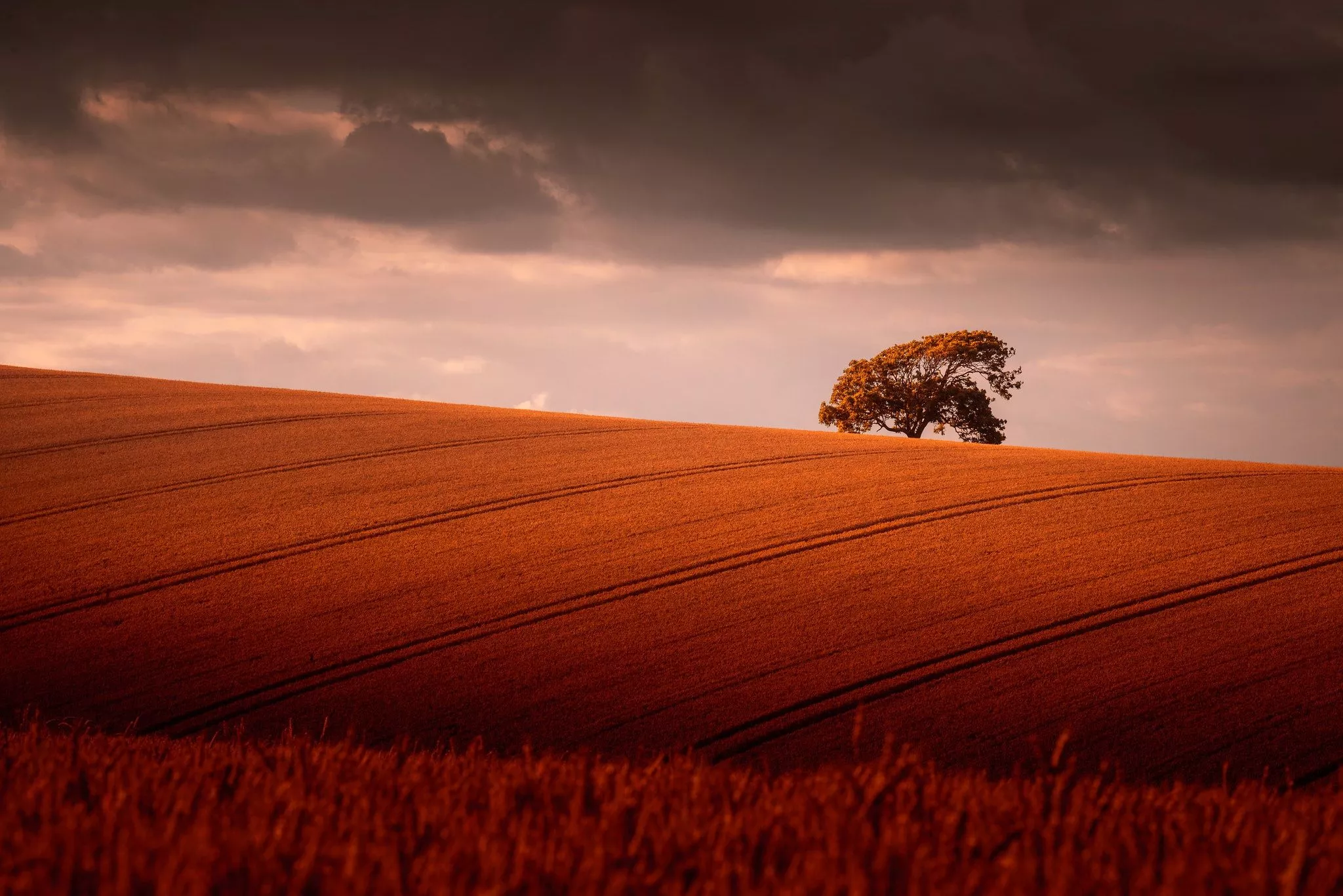 Field Autumn Wallpapers - Wallpaper Cave