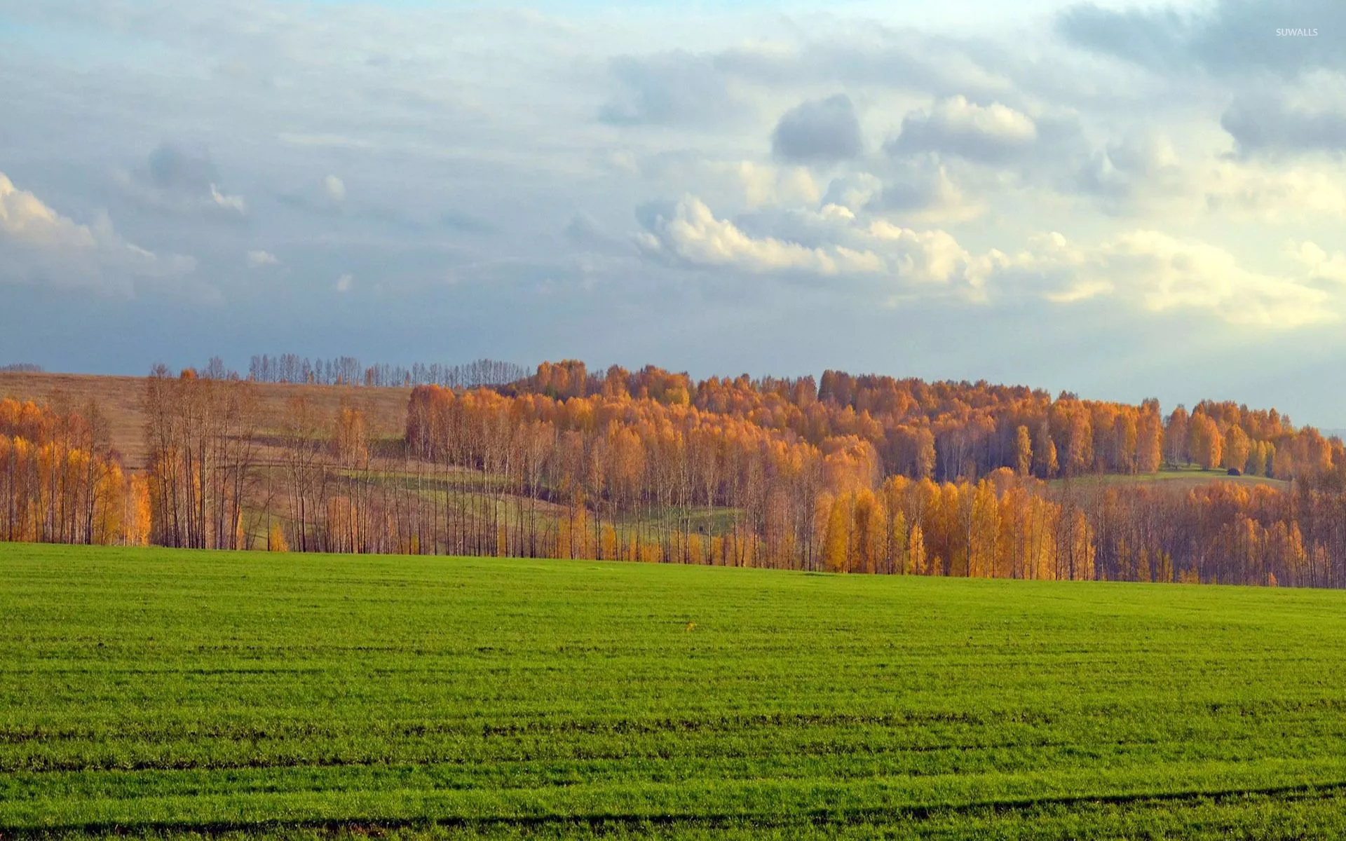 Field Autumn Wallpapers - Wallpaper Cave