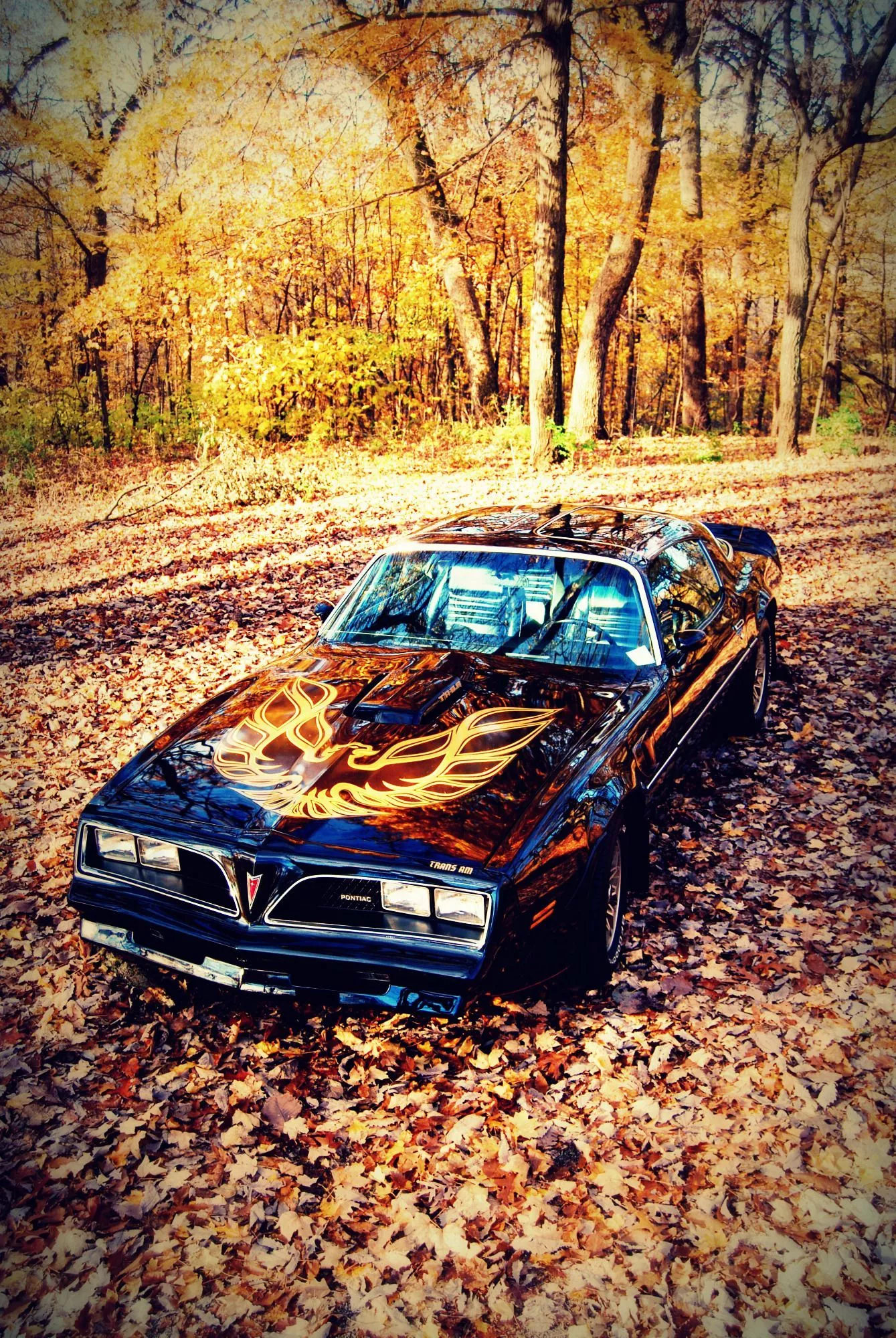 Pontiac Firebird Trans Am 1977 Wallpapers - Wallpaper Cave