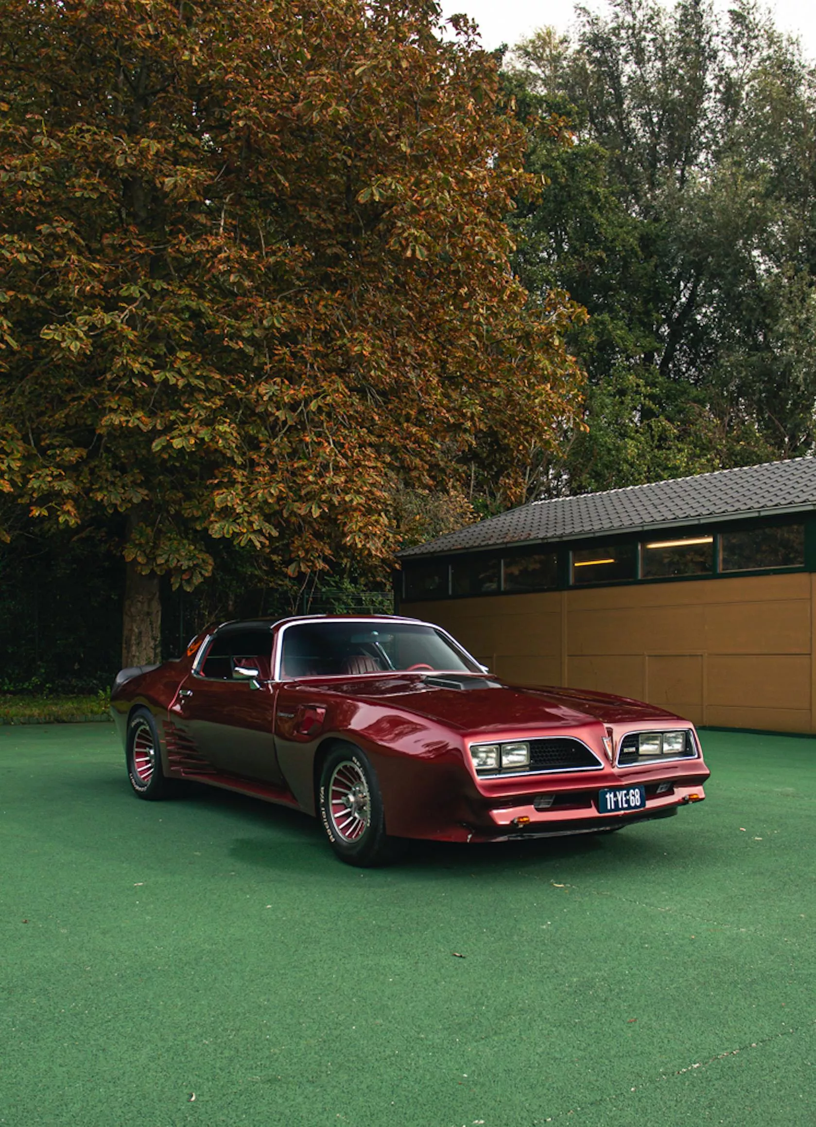 Pontiac Firebird Trans Am 1977 Wallpapers - Wallpaper Cave