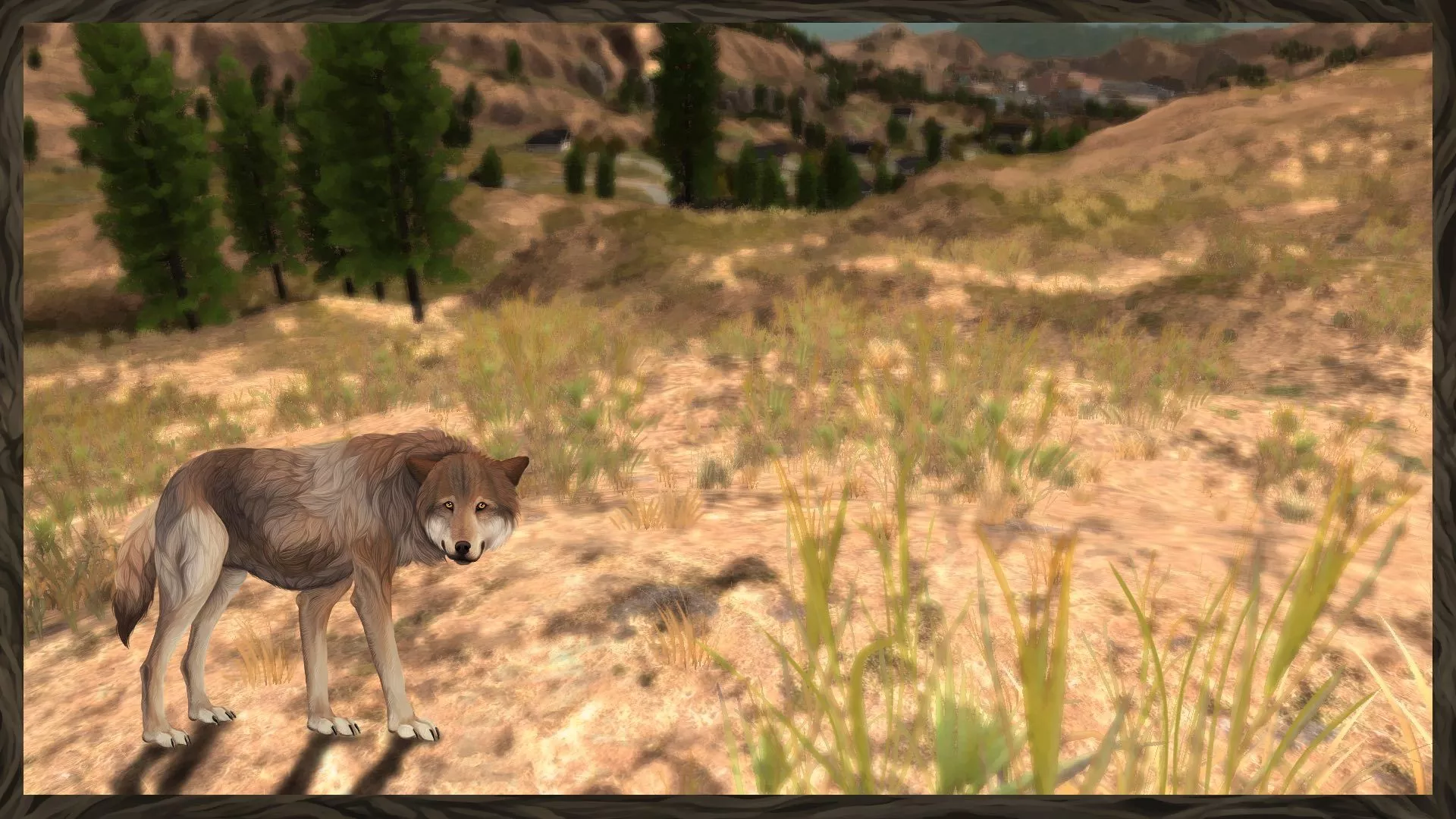 WolfQuest Wallpapers - Wallpaper Cave