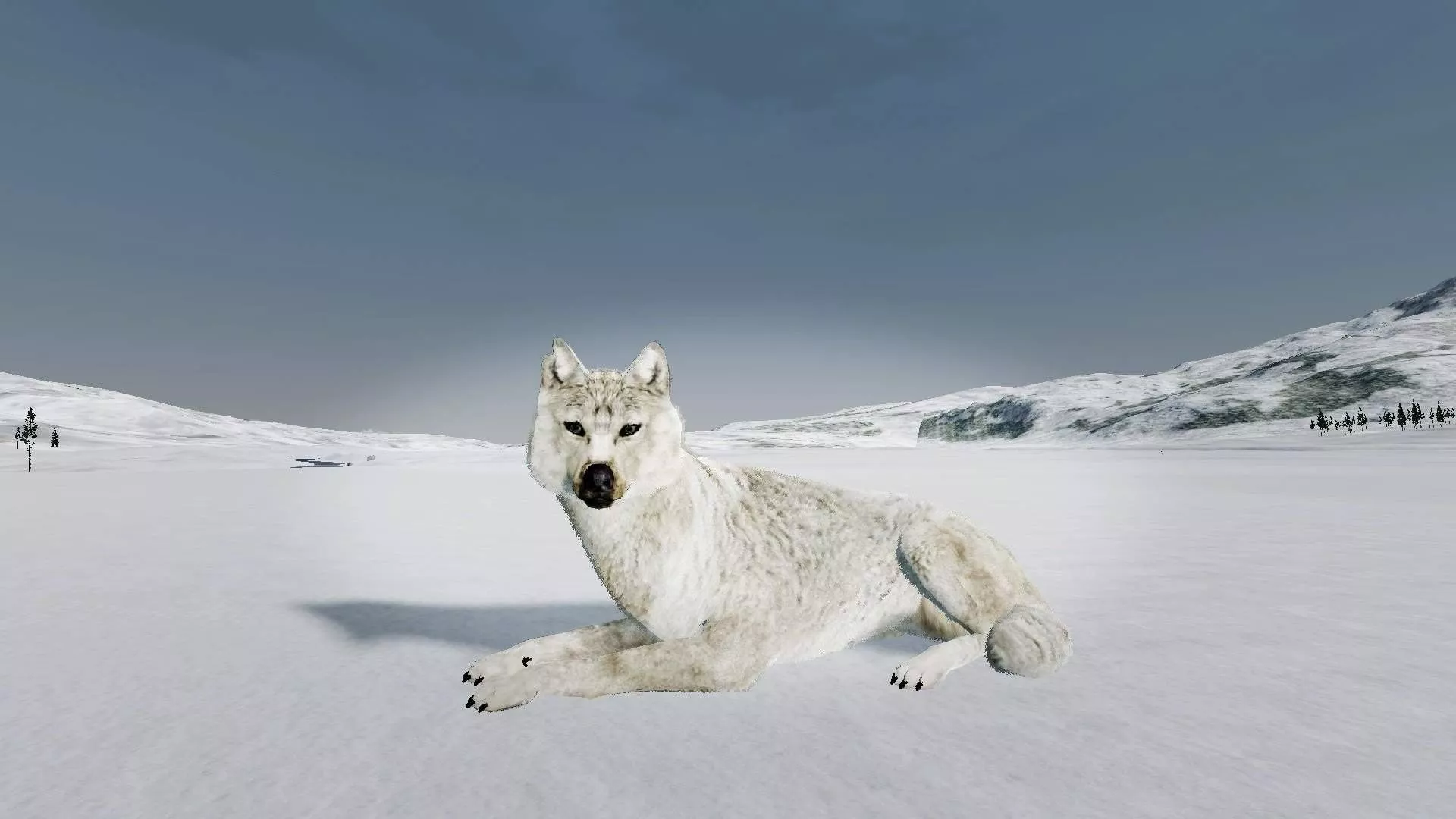 WolfQuest Wallpapers - Wallpaper Cave