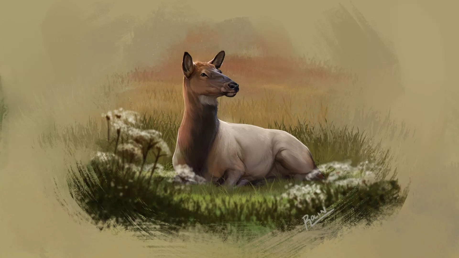 WolfQuest Wallpapers - Wallpaper Cave