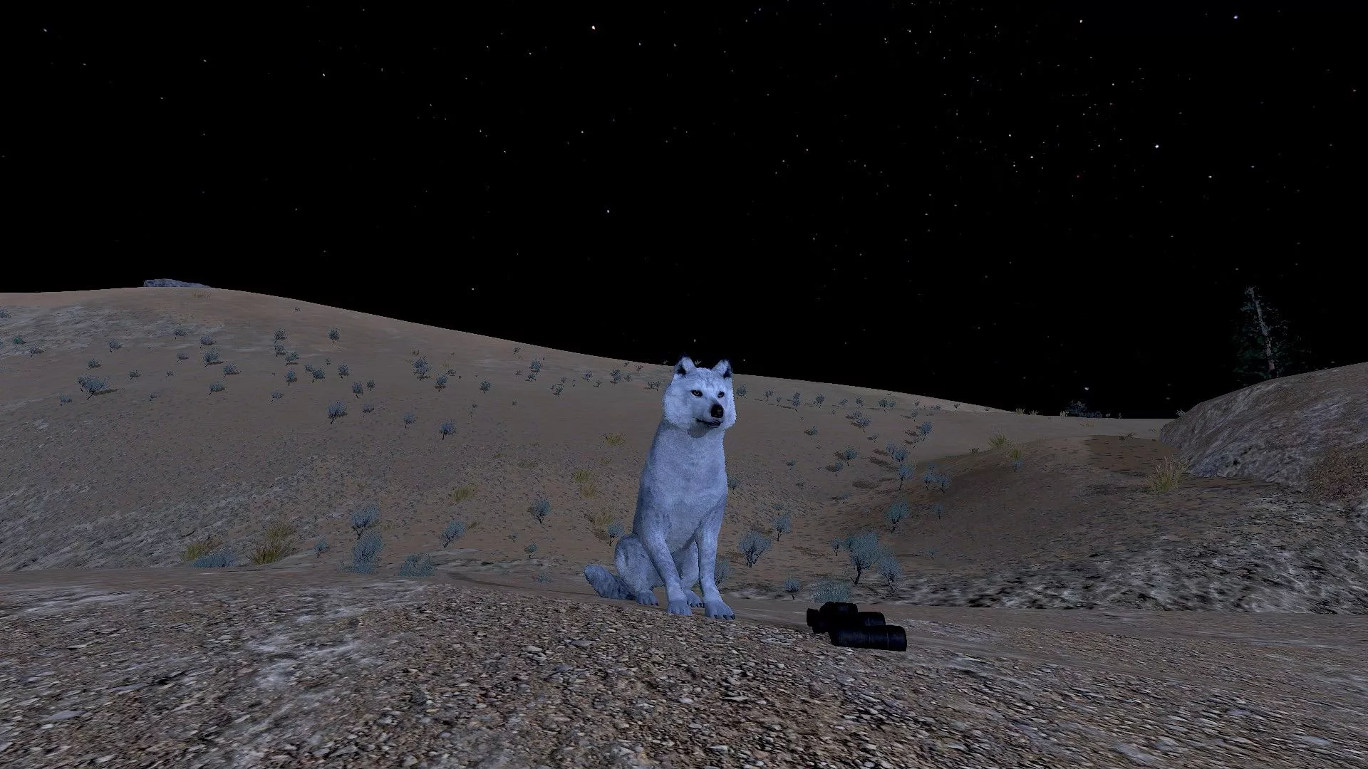 WolfQuest Wallpapers - Wallpaper Cave