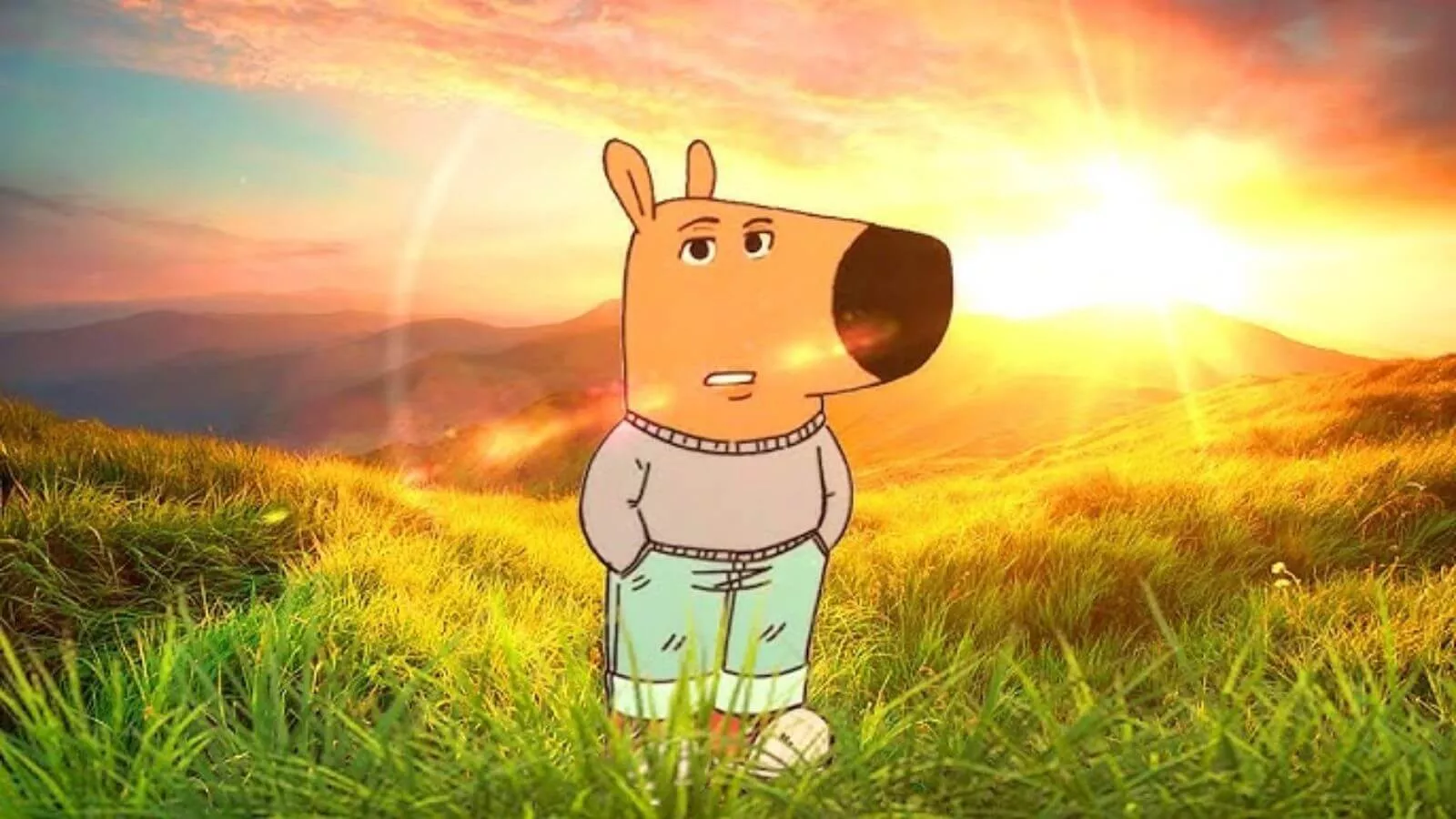 Chill Guy Meme Wallpapers - Wallpaper Cave