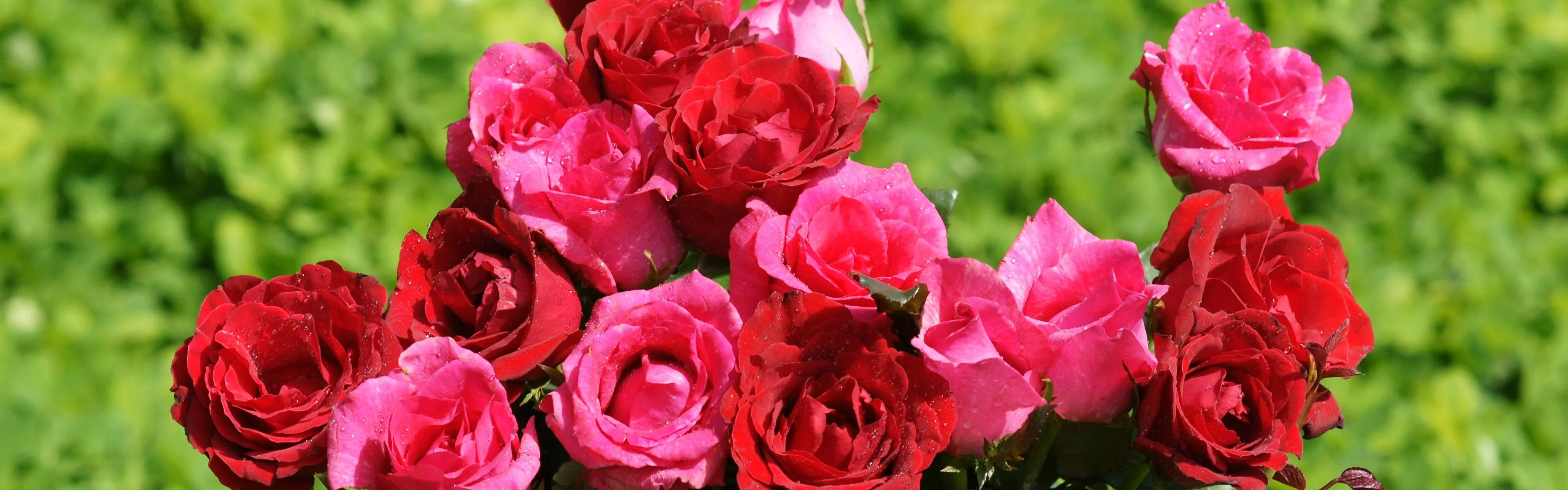 Dual Monitor Red Wallpapers - Wallpaper Cave