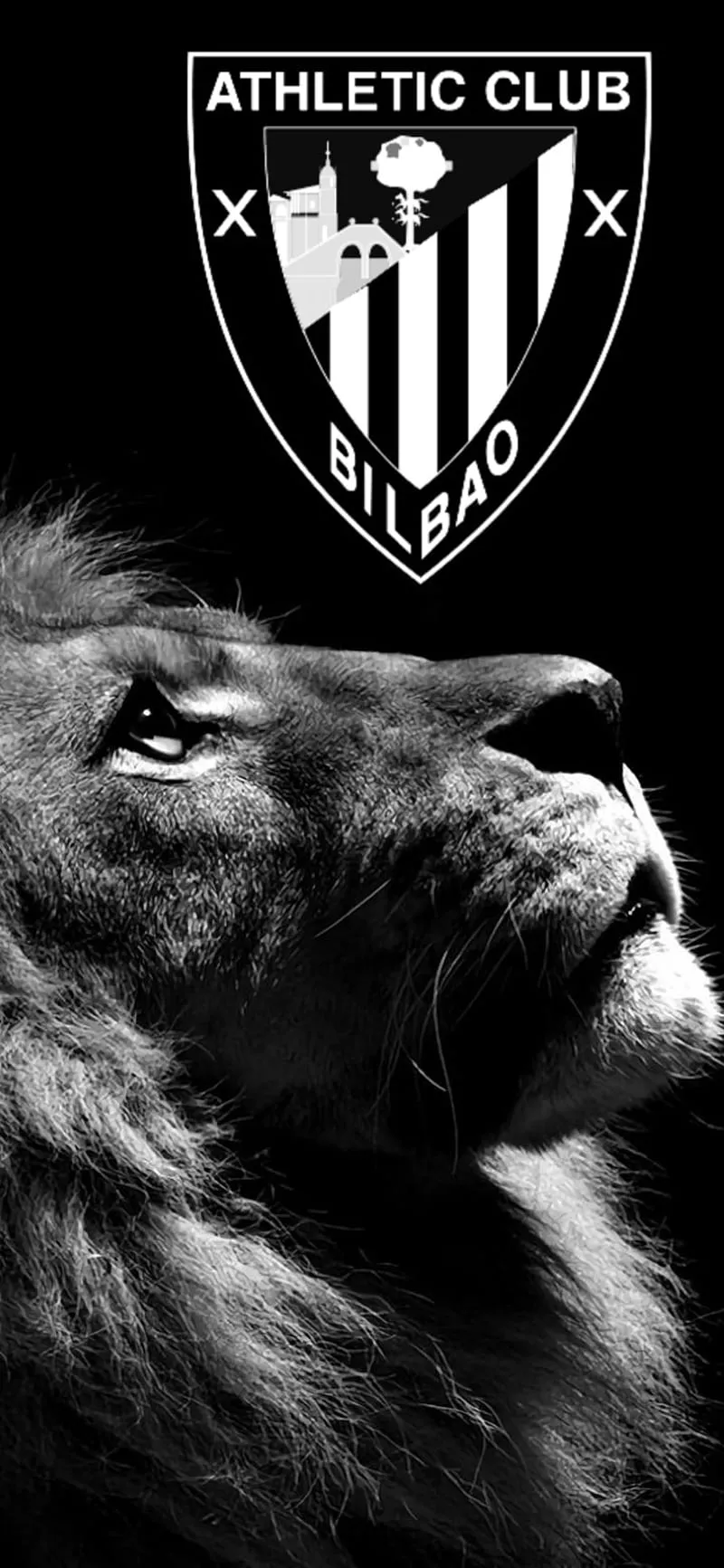 Athletic Club De Bilbao Wallpapers - Wallpaper Cave