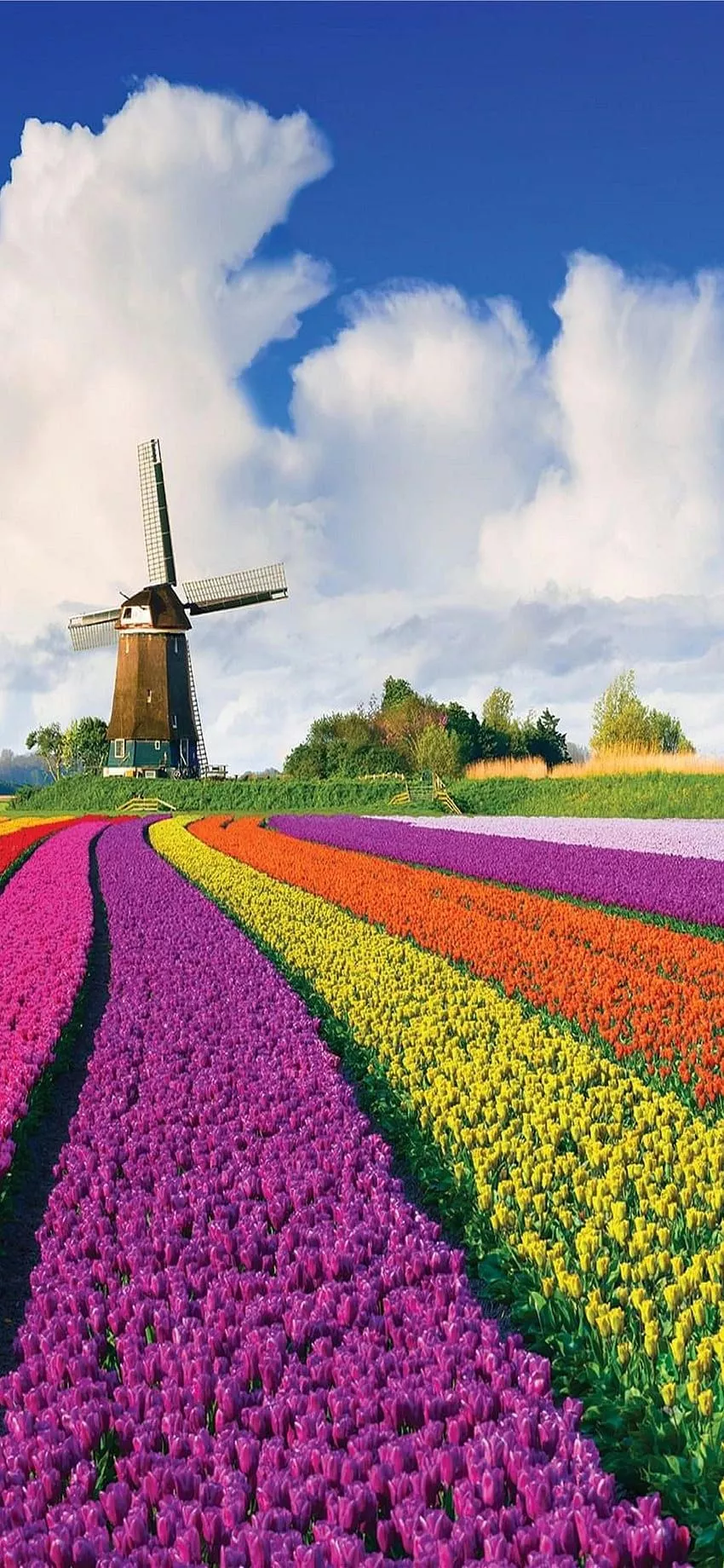 Netherlands Phone Wallpapers - Wallpaper Cave