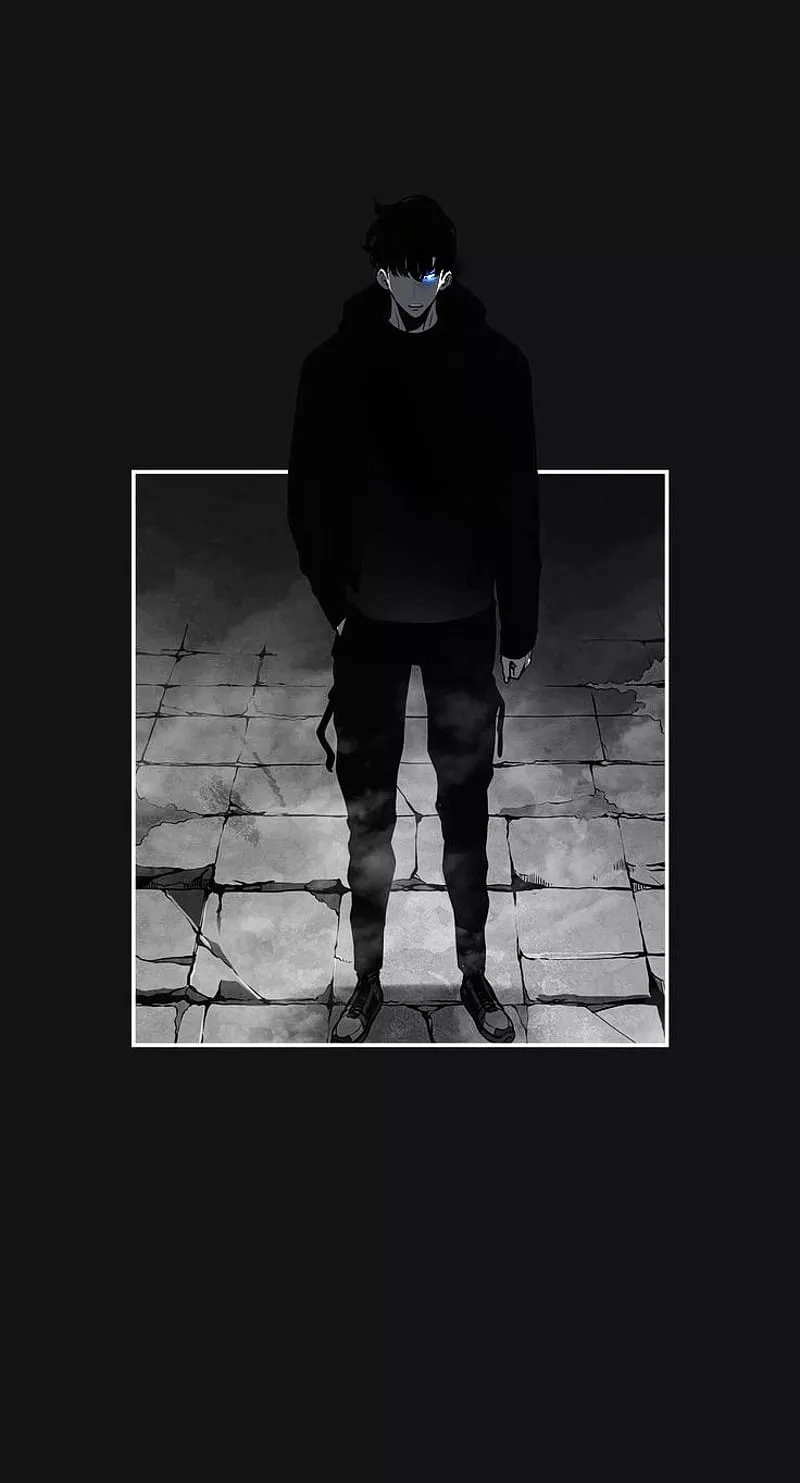 Solo Leveling Black And White Wallpapers - Wallpaper Cave