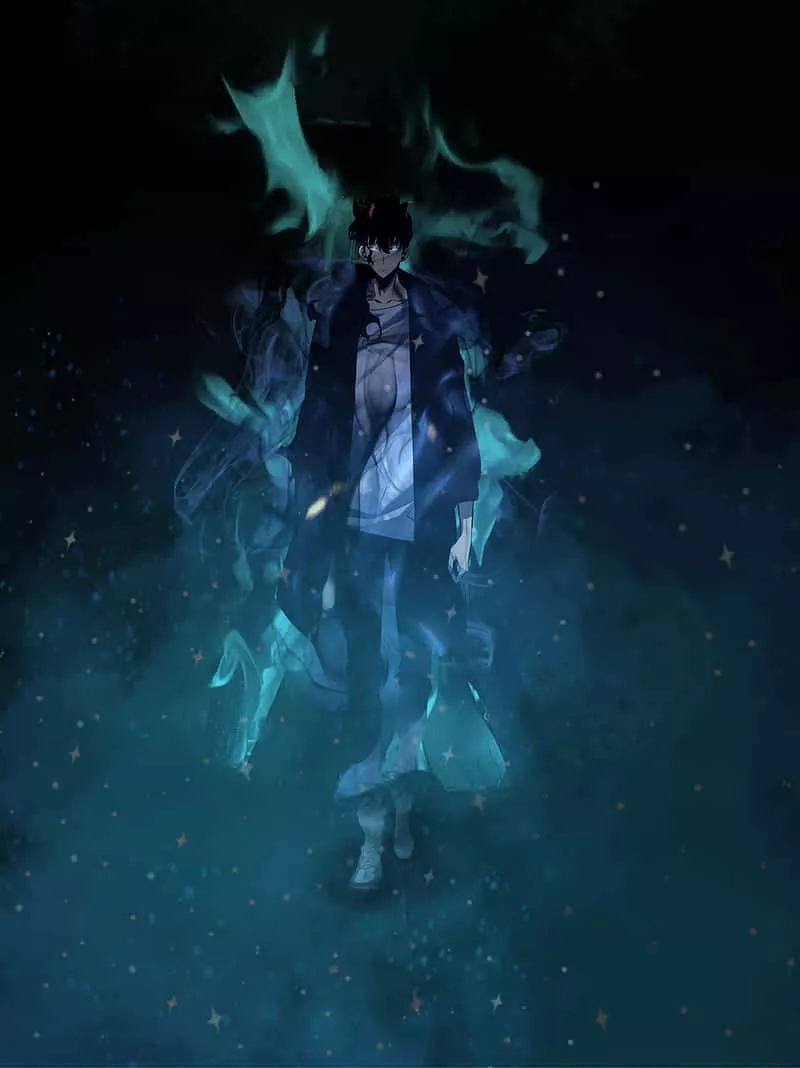 Solo Leveling Black Wallpapers - Wallpaper Cave