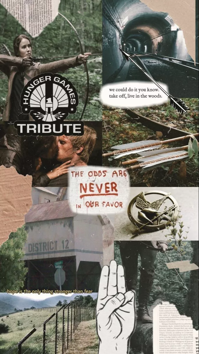 Hunger Games Aesthetic Wallpapers - Wallpaper Cave