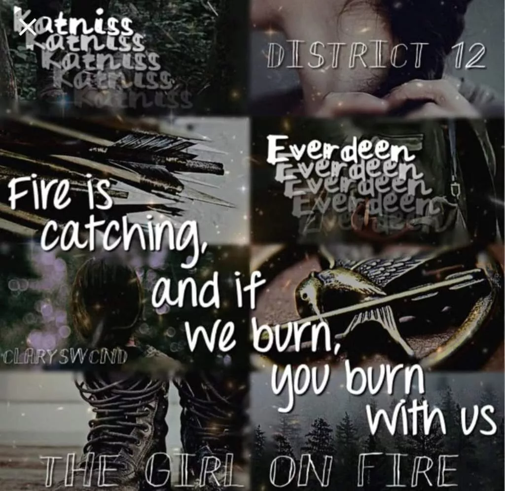 Hunger Games Aesthetic Wallpapers - Wallpaper Cave