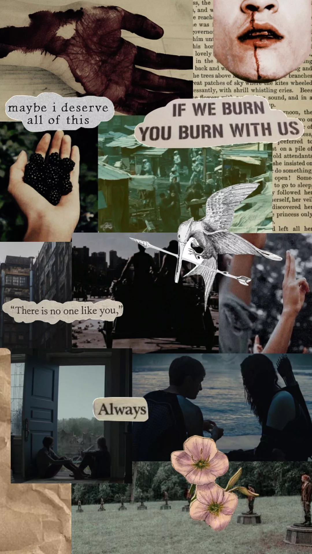 Hunger Games Aesthetic Wallpapers - Wallpaper Cave