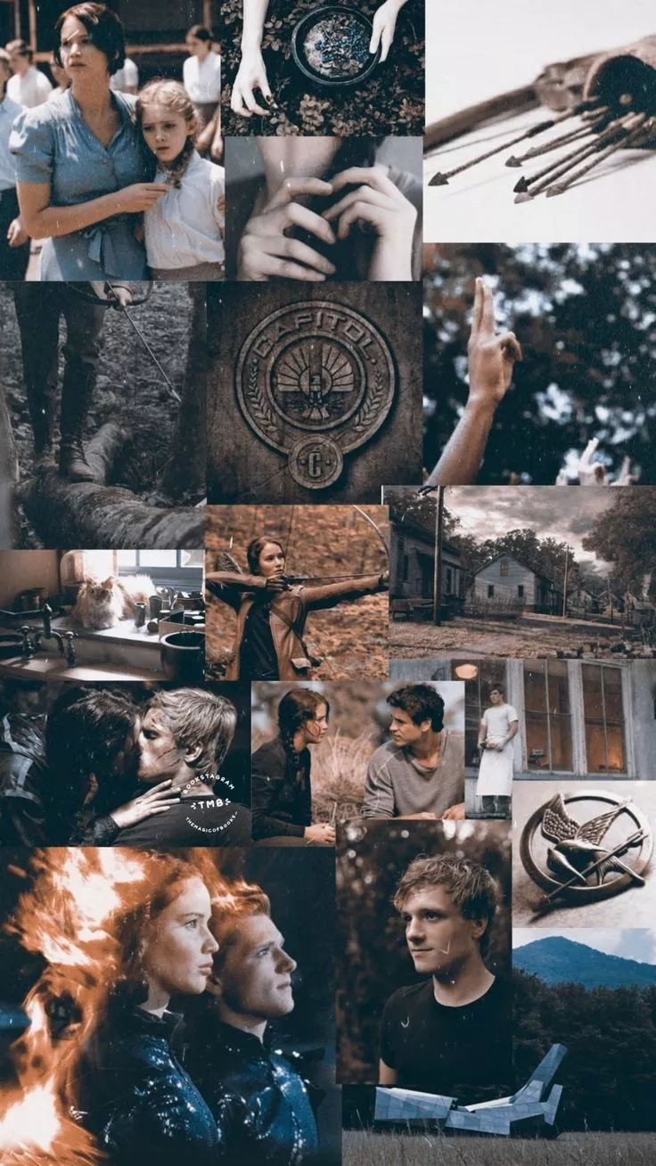 Hunger Games Aesthetic Wallpapers - Wallpaper Cave