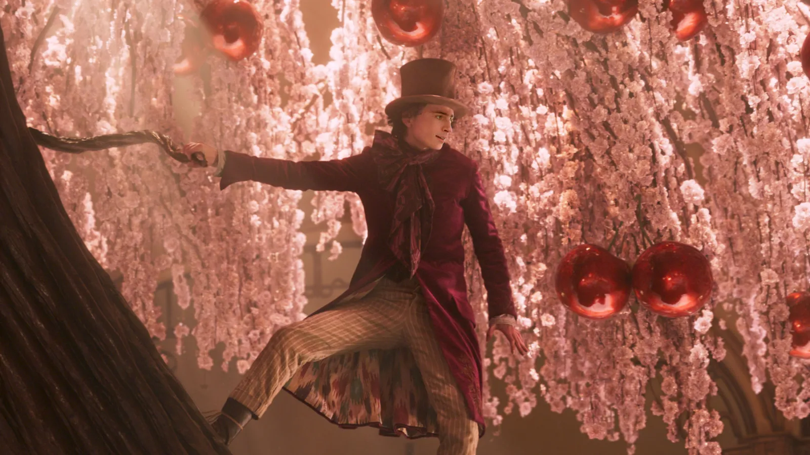 Timothee Chalamet Willy Wonka Wallpapers - Wallpaper Cave Timothee Chalamet Willy Wonka Wallpapers - Wallpaper Cave
