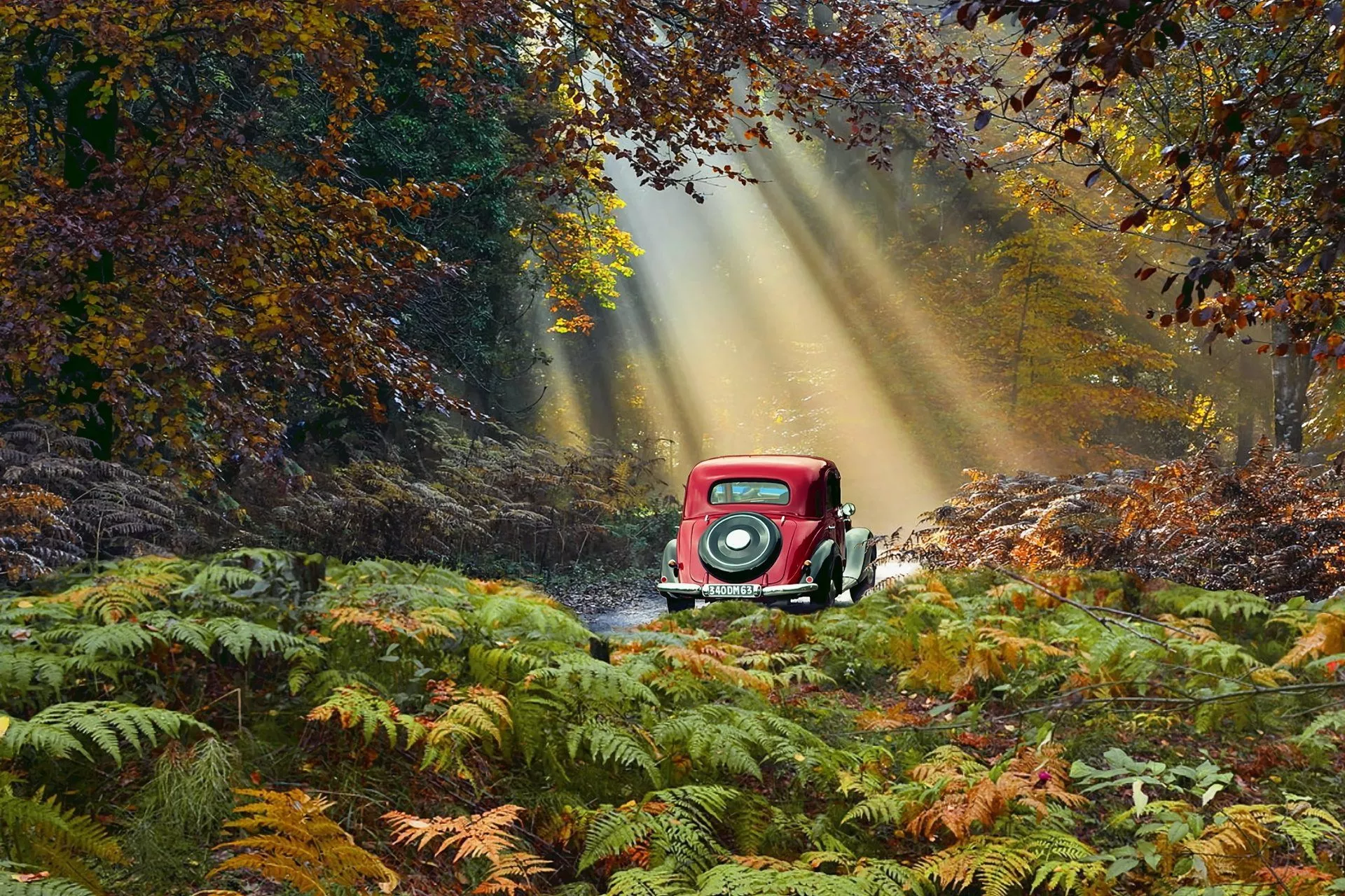 Autumn Forest Car Wallpapers - Wallpaper Cave