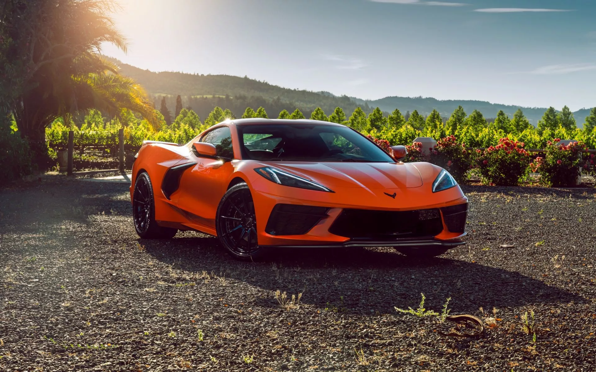 Chevrolet Corvette C8 Wallpapers - Wallpaper Cave