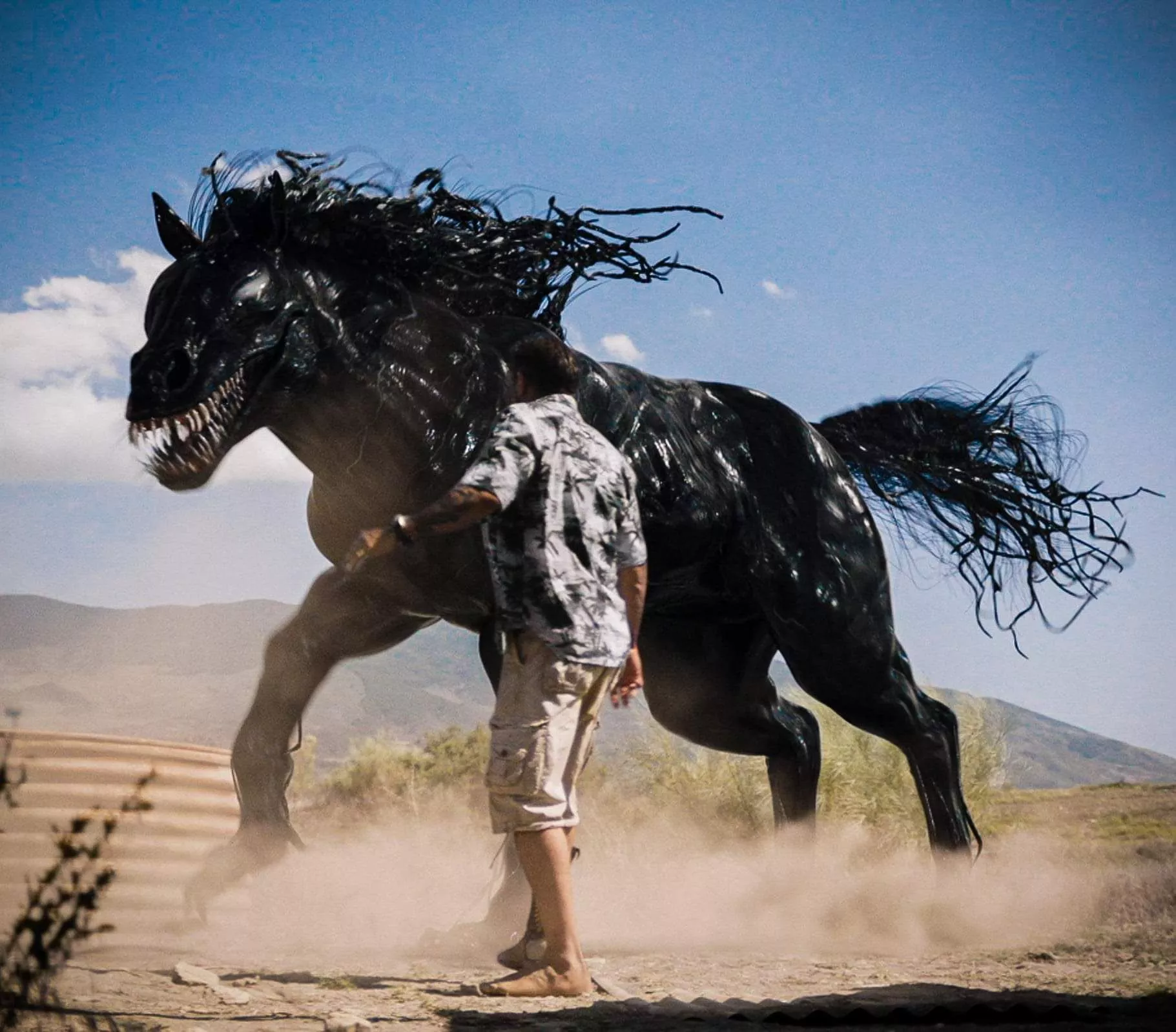 Venom Horse Wallpapers - Wallpaper Cave