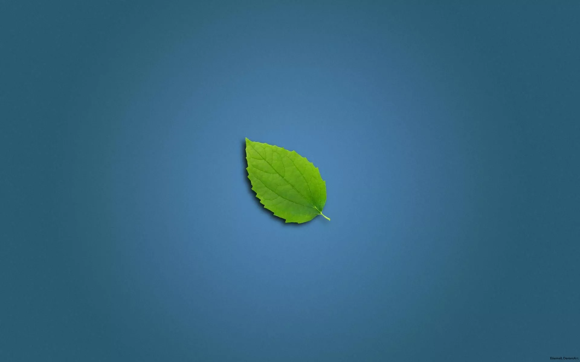 Clean Green Wallpapers - Wallpaper Cave