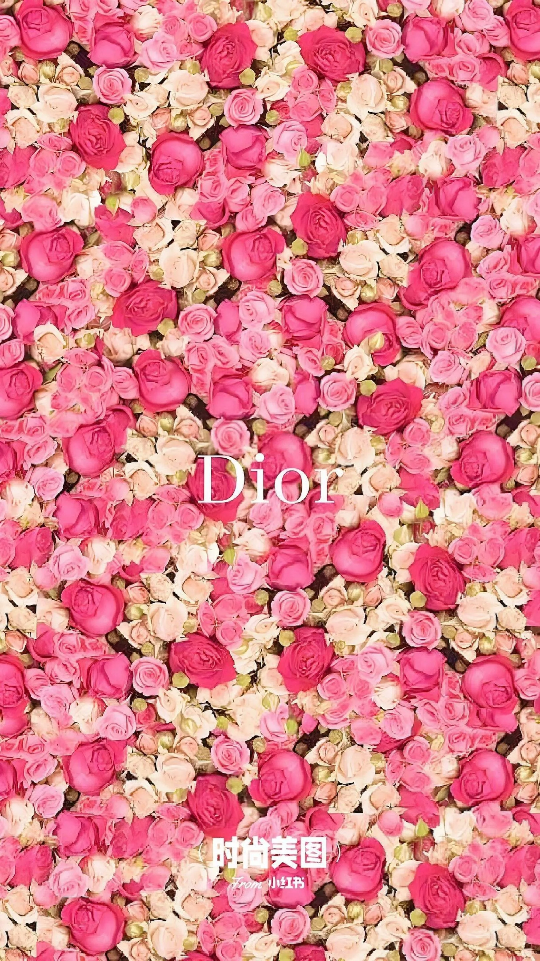 Dior Pink Wallpapers - Wallpaper Cave