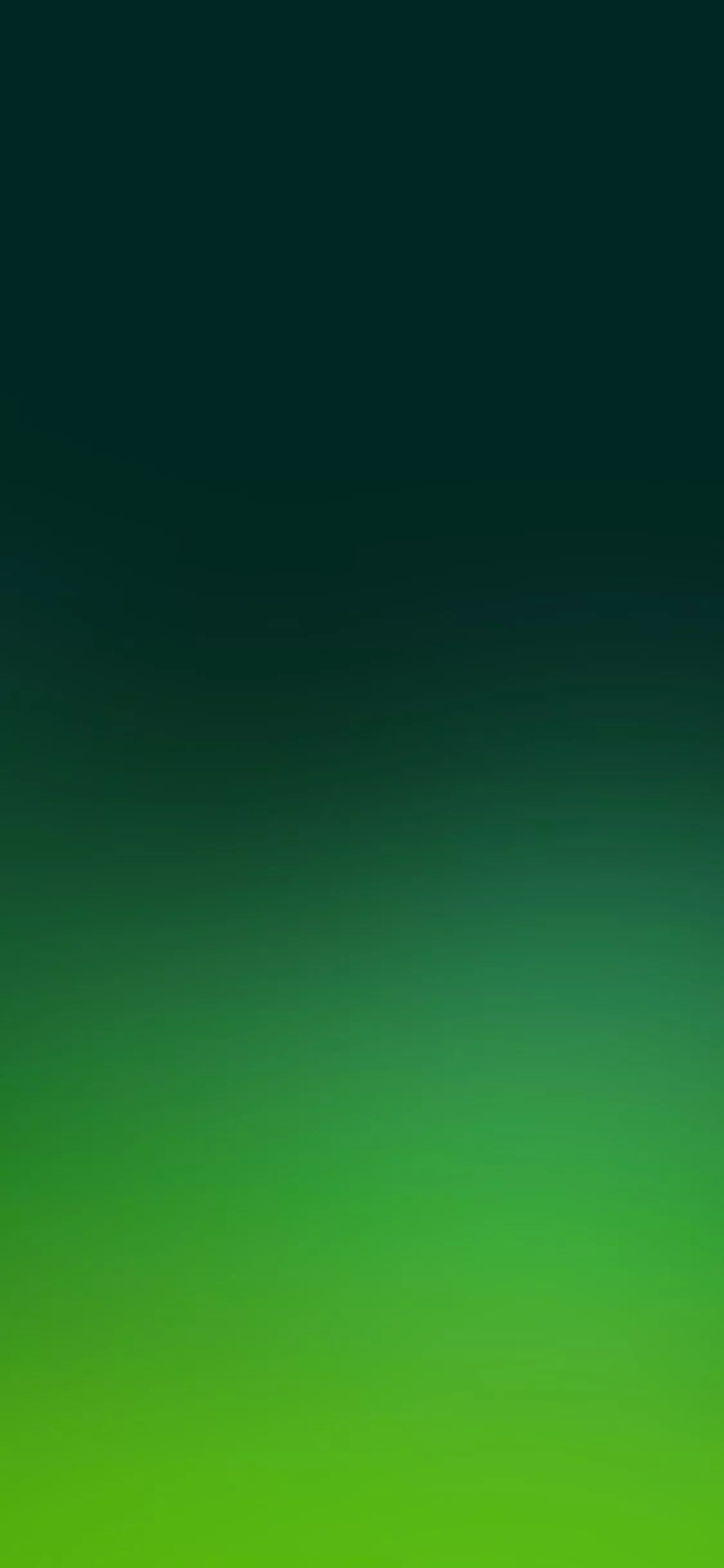 iPhone X Green Wallpapers - Wallpaper Cave