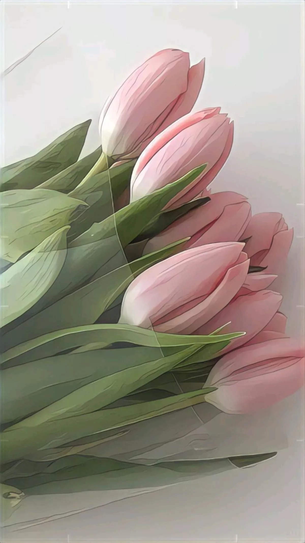 Aesthetic Tulip Wallpapers - Wallpaper Cave