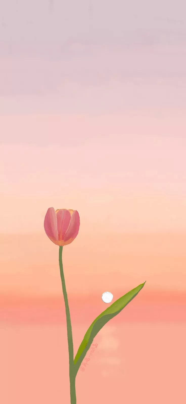 Aesthetic Tulip Wallpapers - Wallpaper Cave