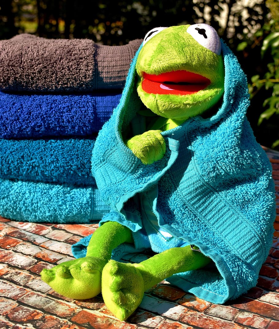 Kermit iPhone Wallpapers - Wallpaper Cave