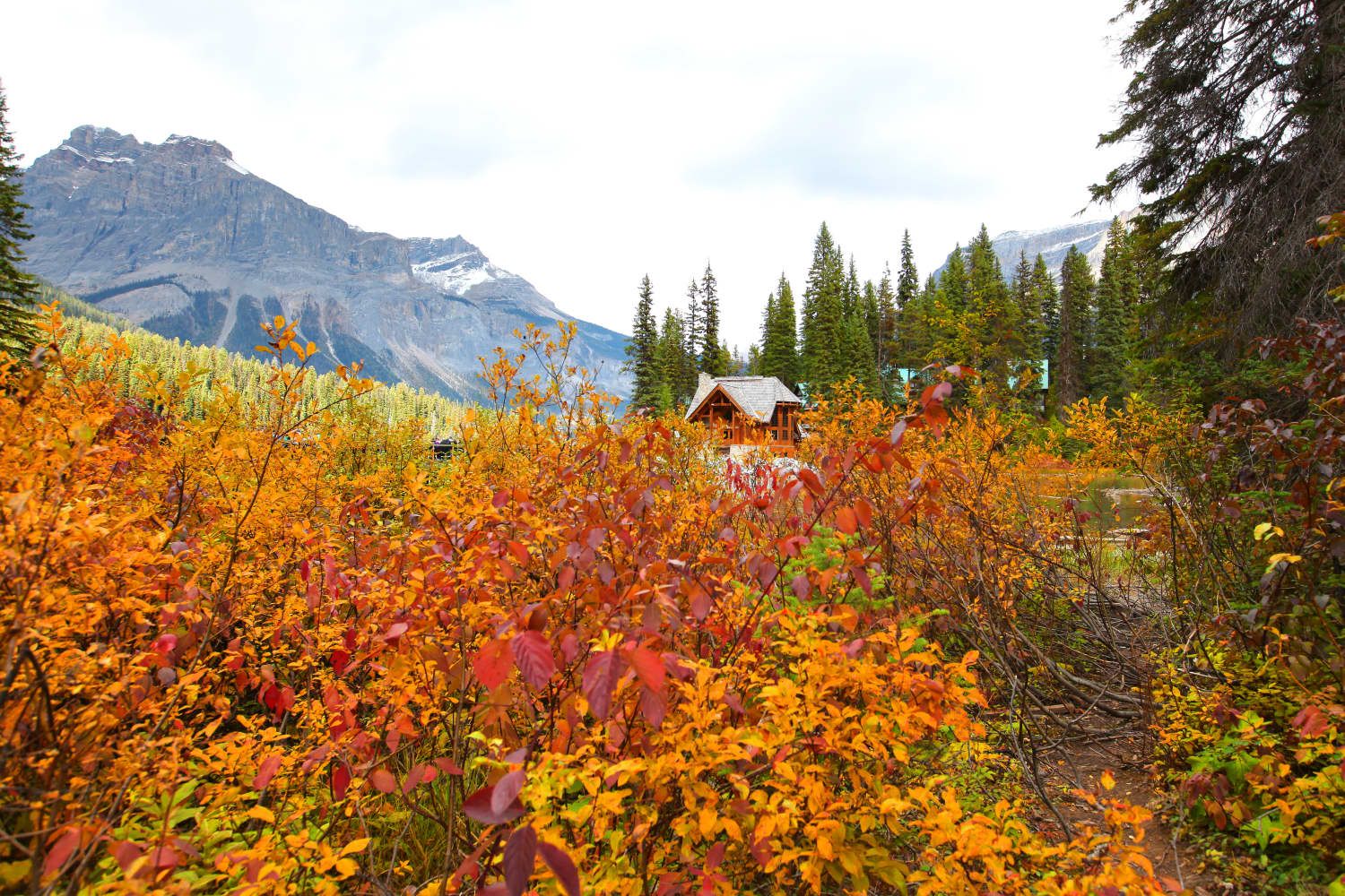 Autumn Cottagecore Computer Wallpapers - Wallpaper Cave