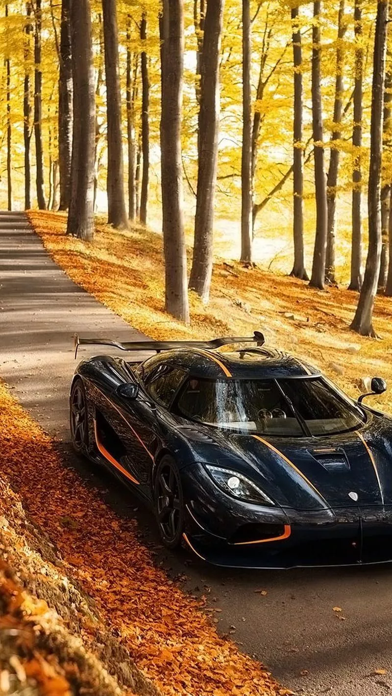 Autumn Car iPhone Wallpapers - Wallpaper Cave