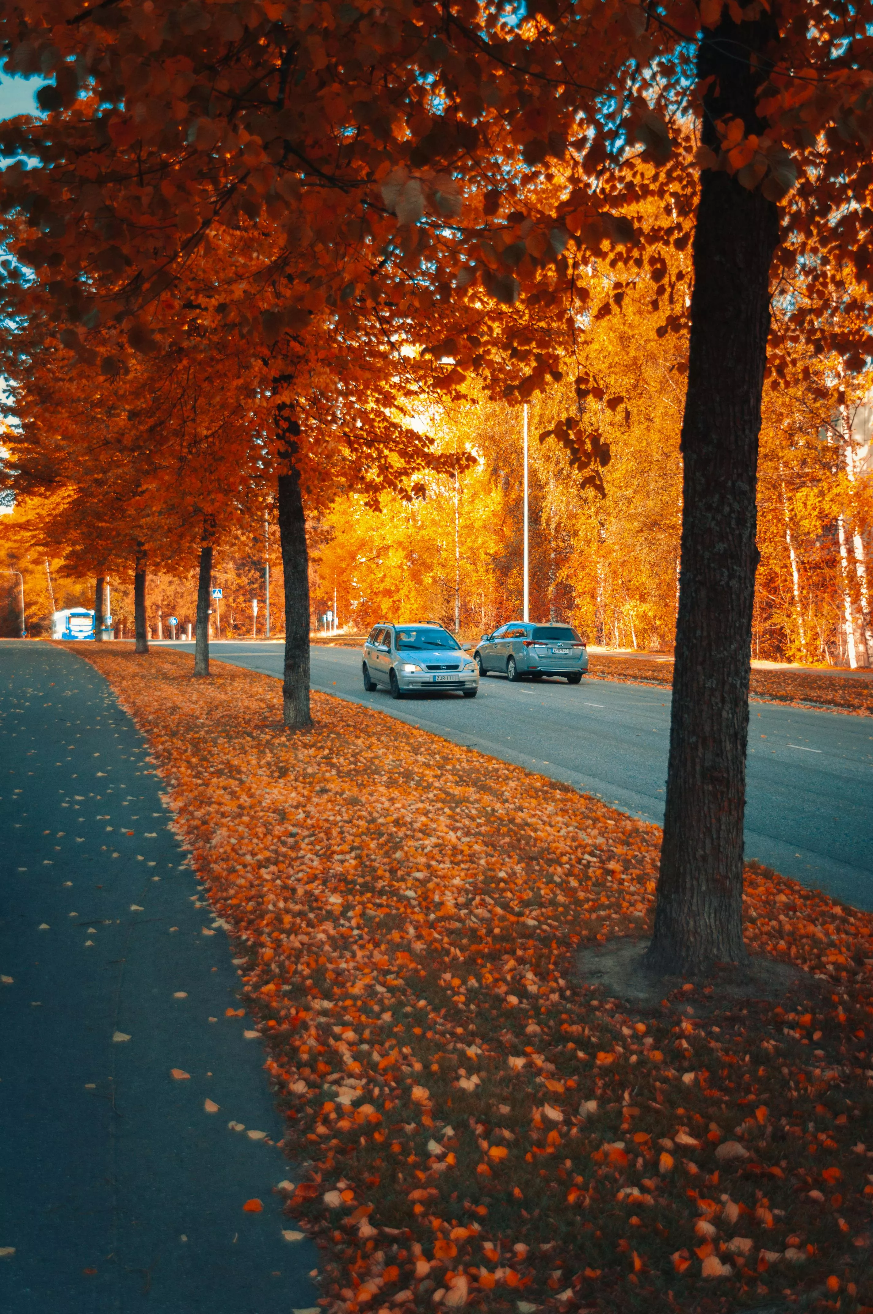 Autumn Car iPhone Wallpapers - Wallpaper Cave