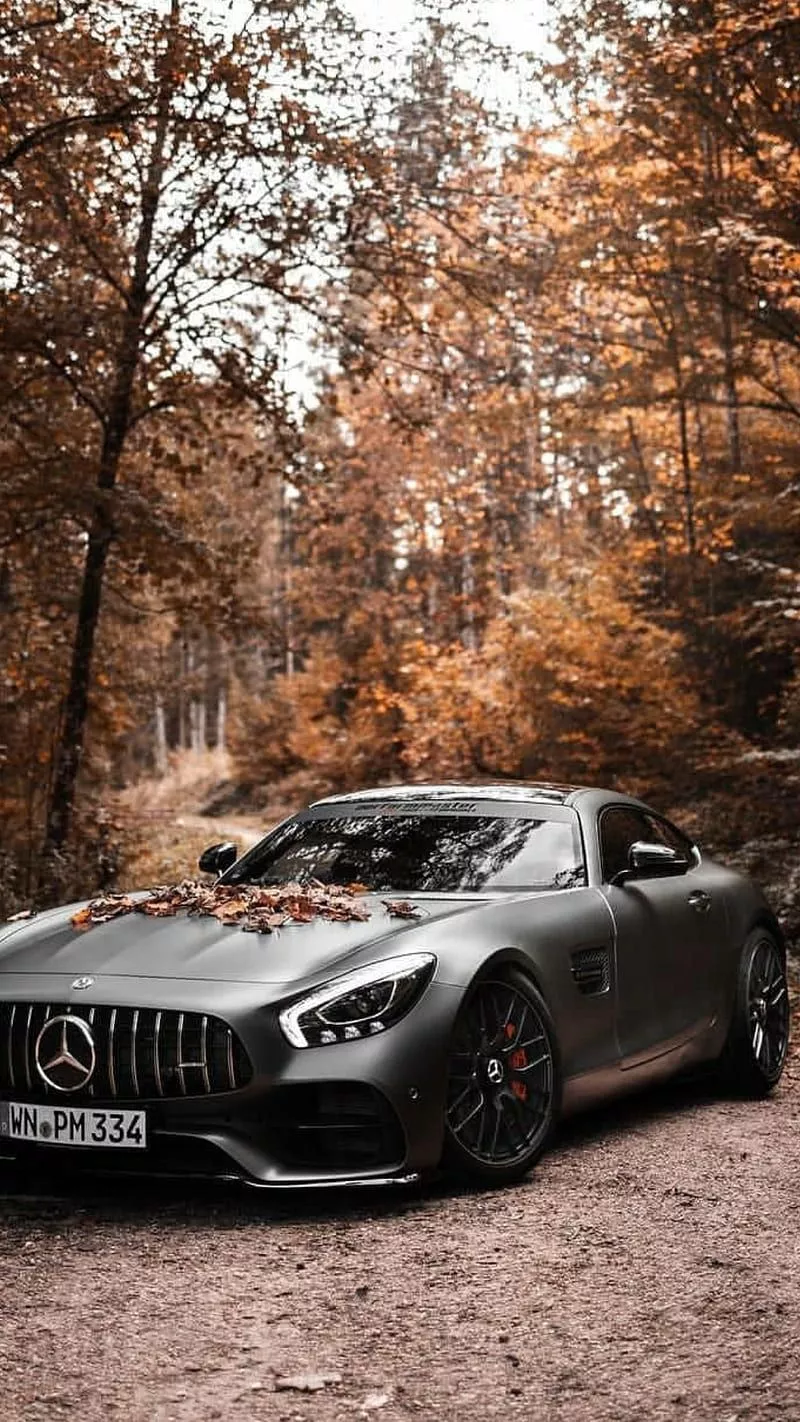 Autumn Car iPhone Wallpapers - Wallpaper Cave